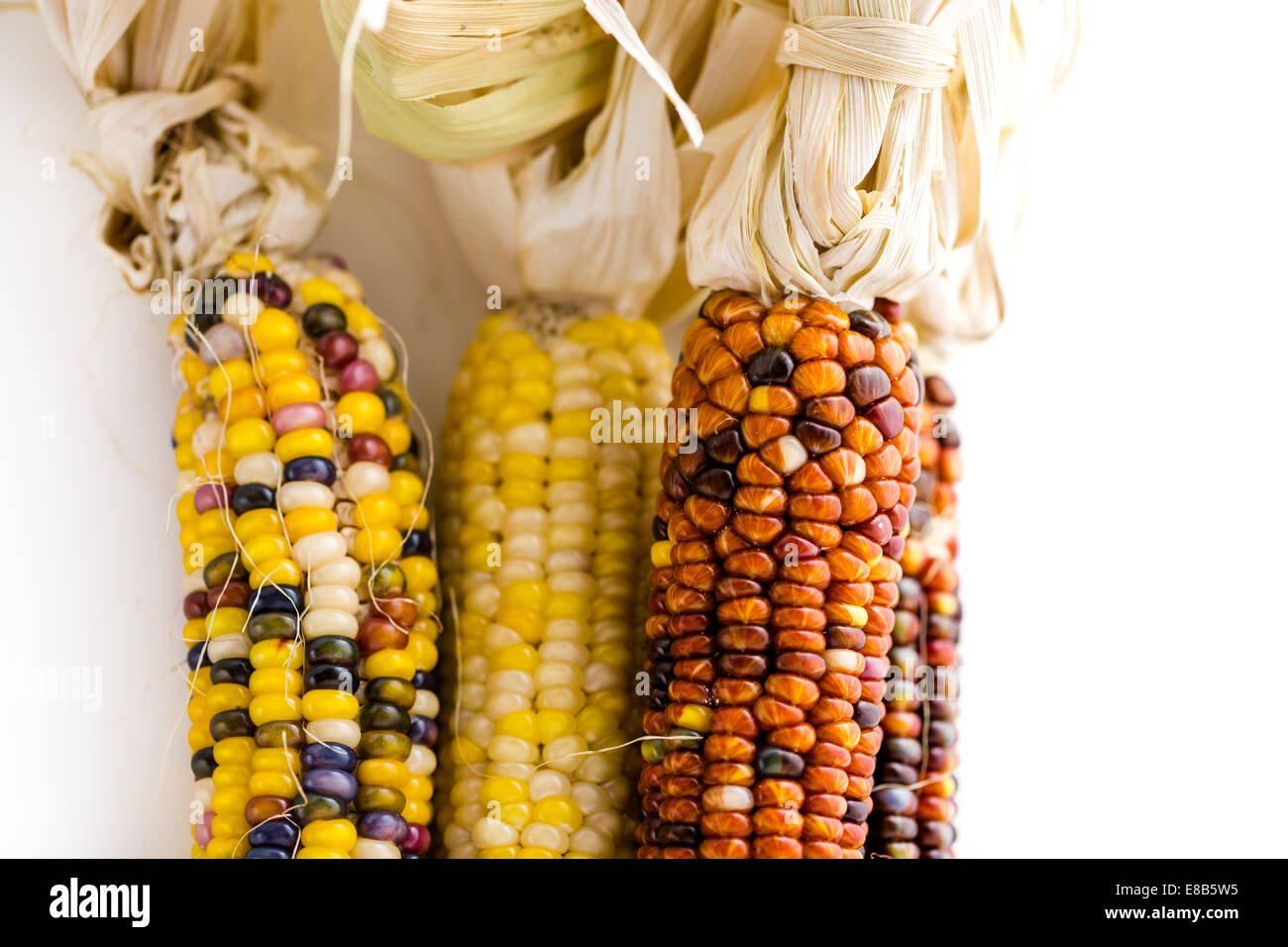 Multi colored indian corn made for Thanksgiving decoration Stock Photo ...