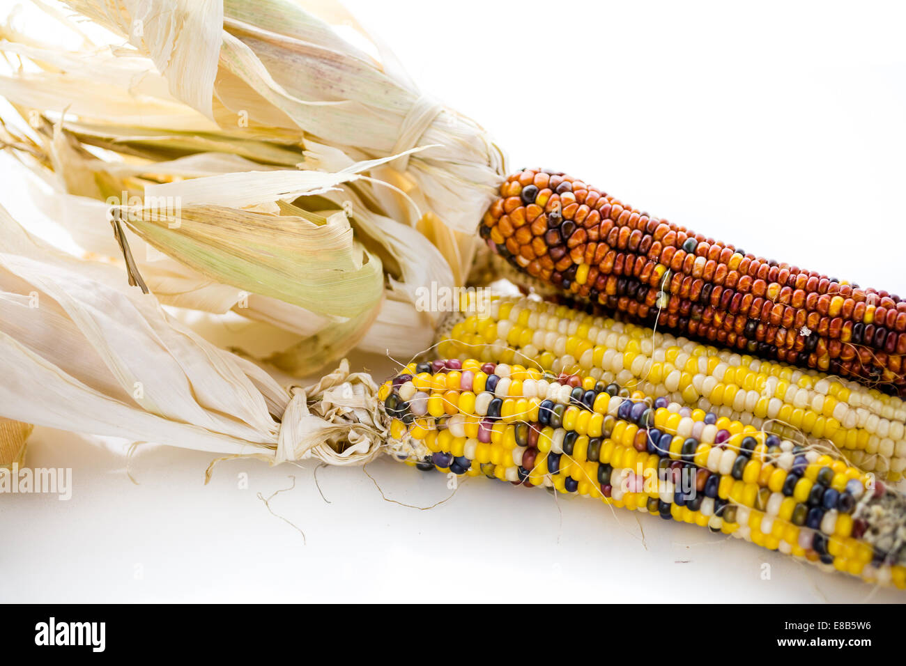 Multi colored indian corn made for Thanksgiving decoration Stock Photo ...