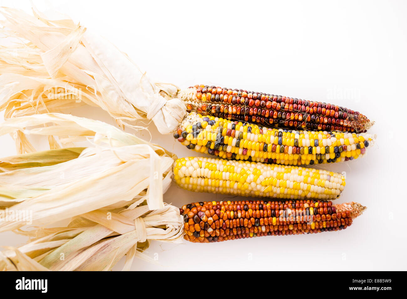 Multi colored indian corn made for Thanksgiving decoration Stock Photo ...