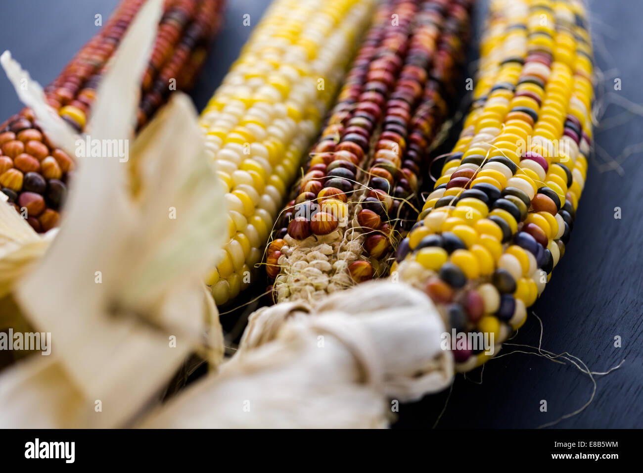 Multi colored indian corn made for Thanksgiving decoration Stock Photo ...