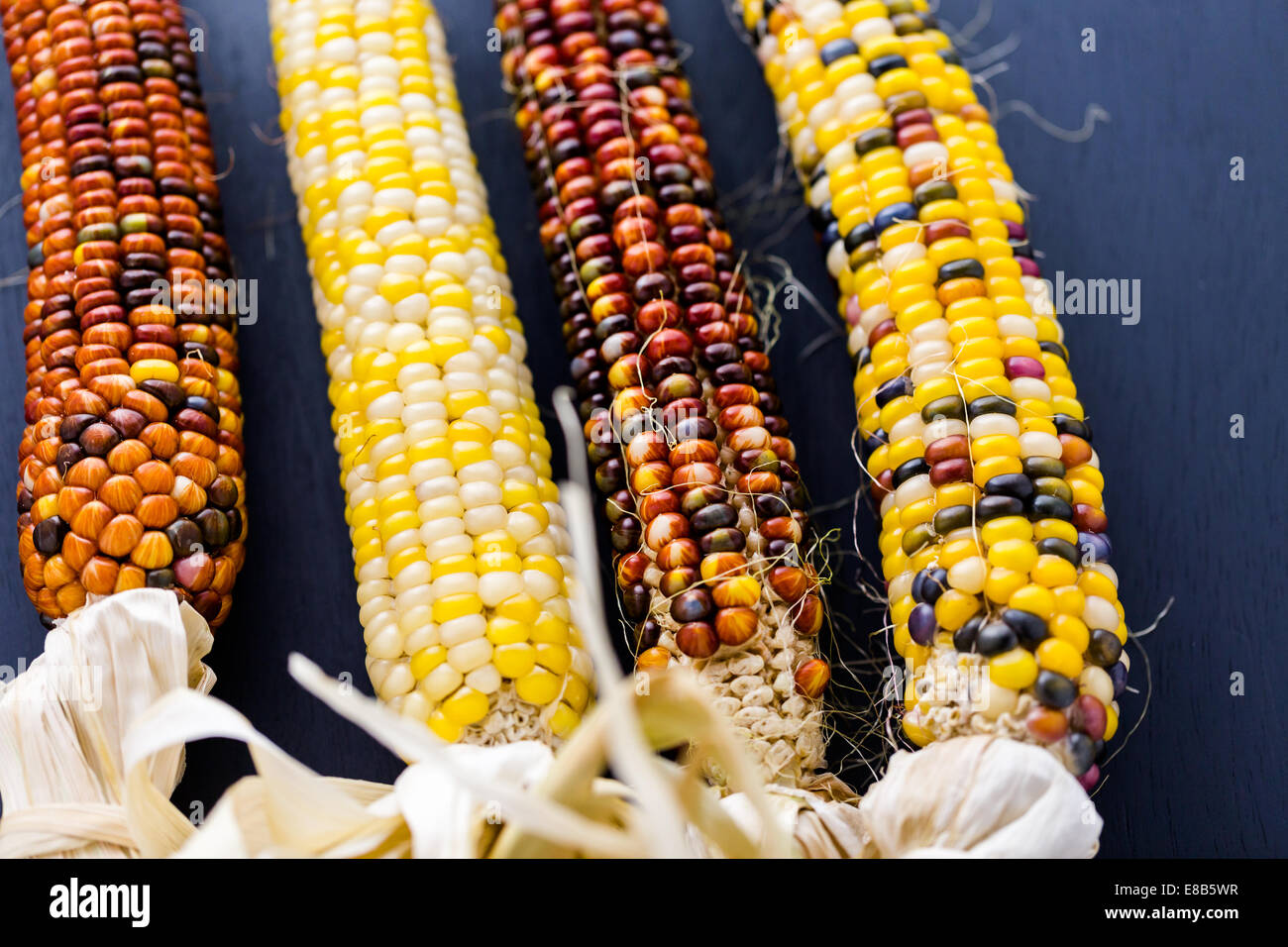 Multi colored indian corn made for Thanksgiving decoration Stock Photo ...