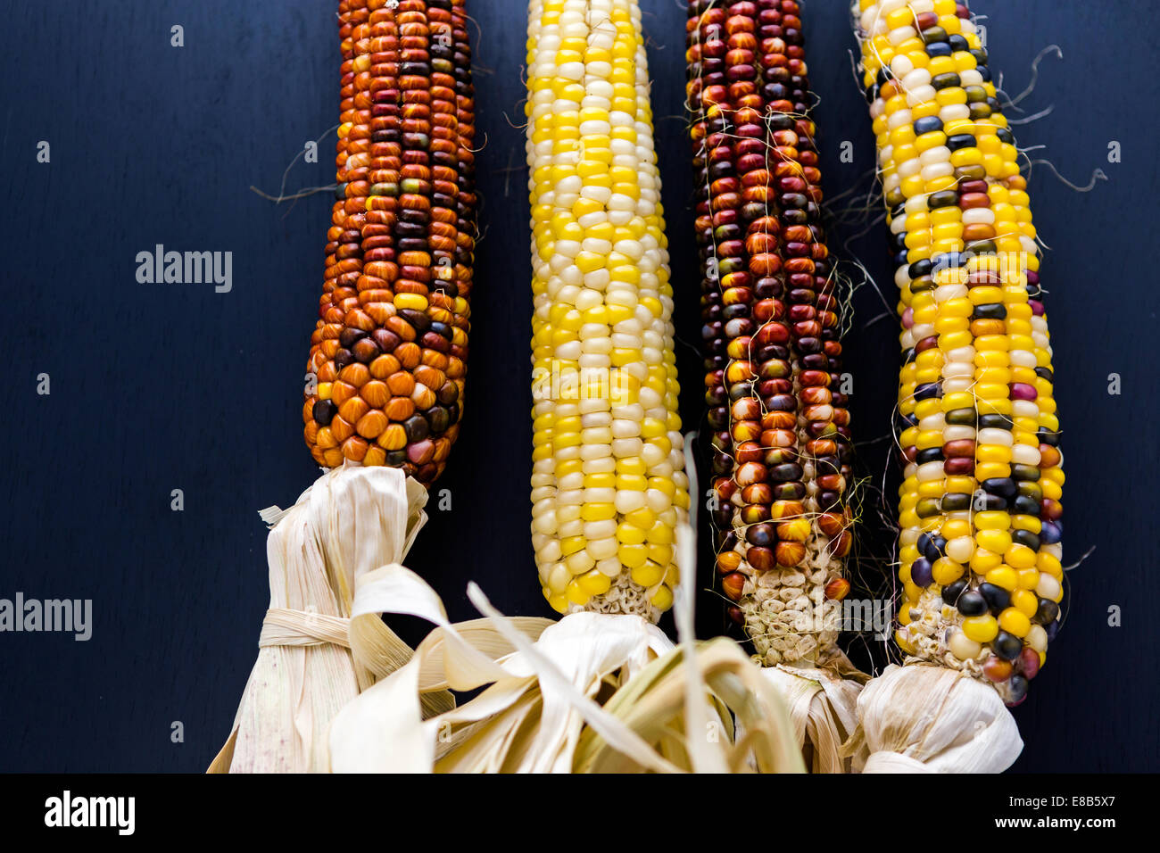 Multi colored indian corn made for Thanksgiving decoration Stock Photo ...