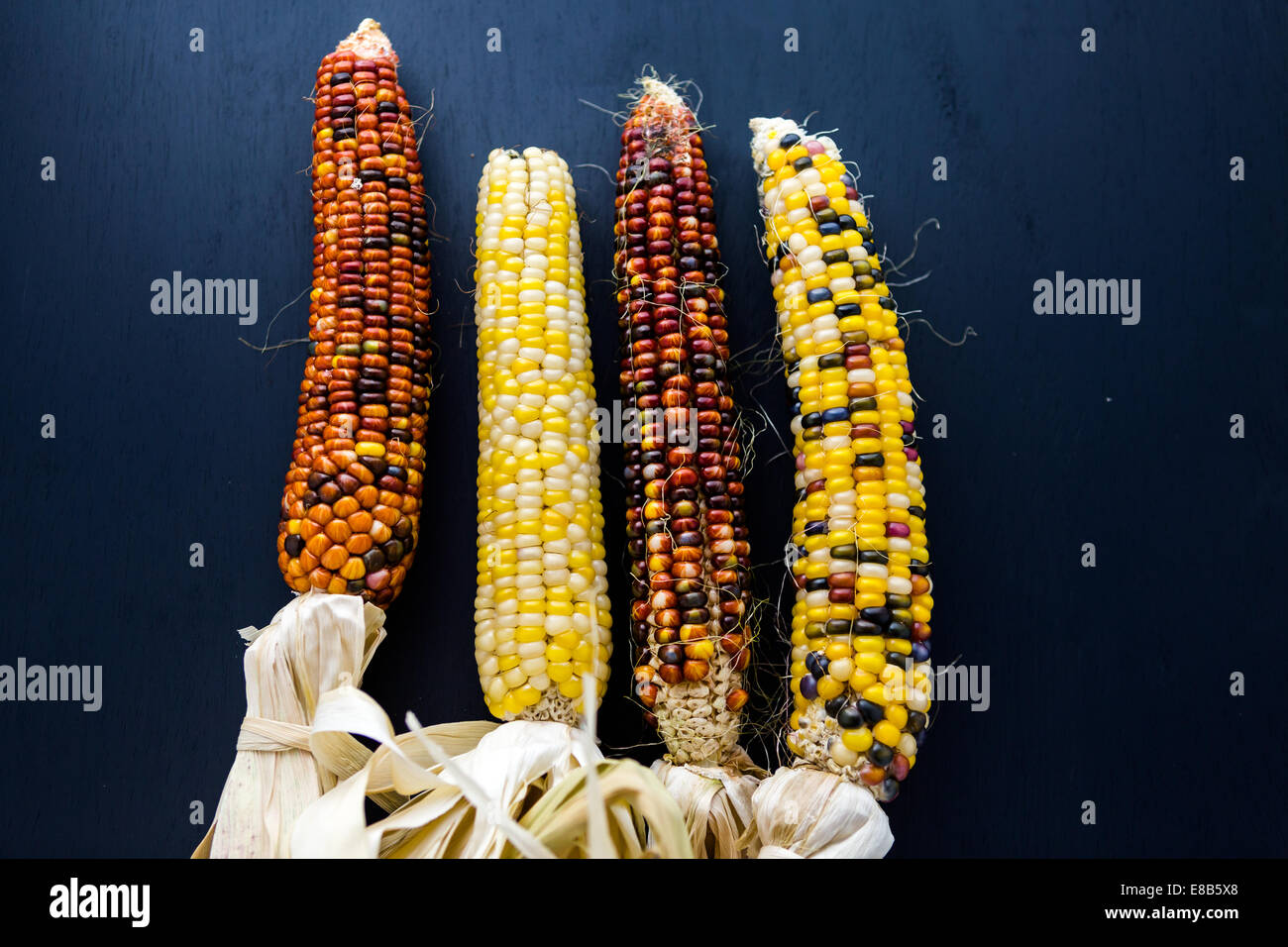 Multi colored indian corn made for Thanksgiving decoration Stock Photo ...