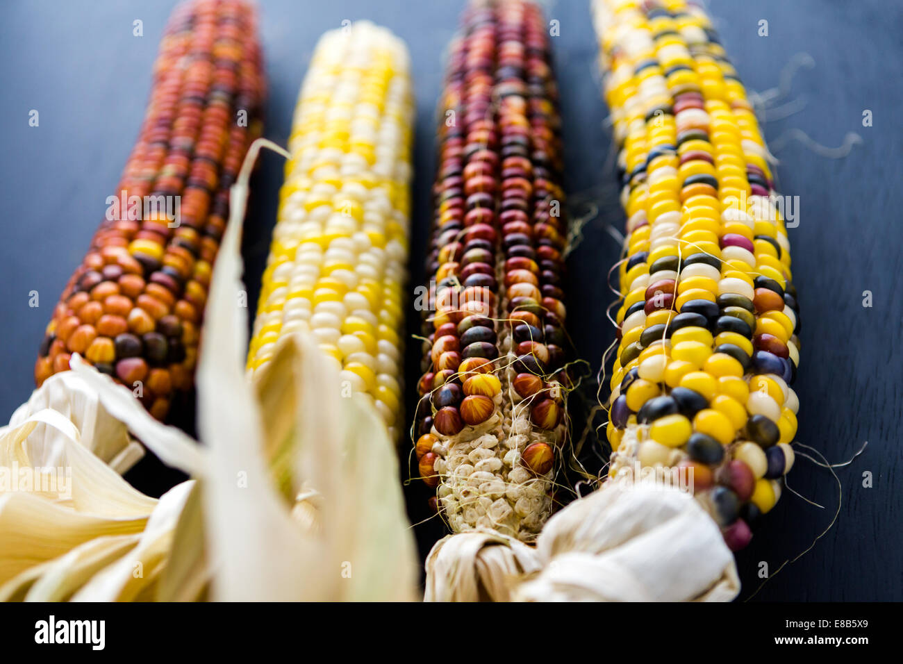 Multi colored indian corn made for Thanksgiving decoration Stock Photo ...