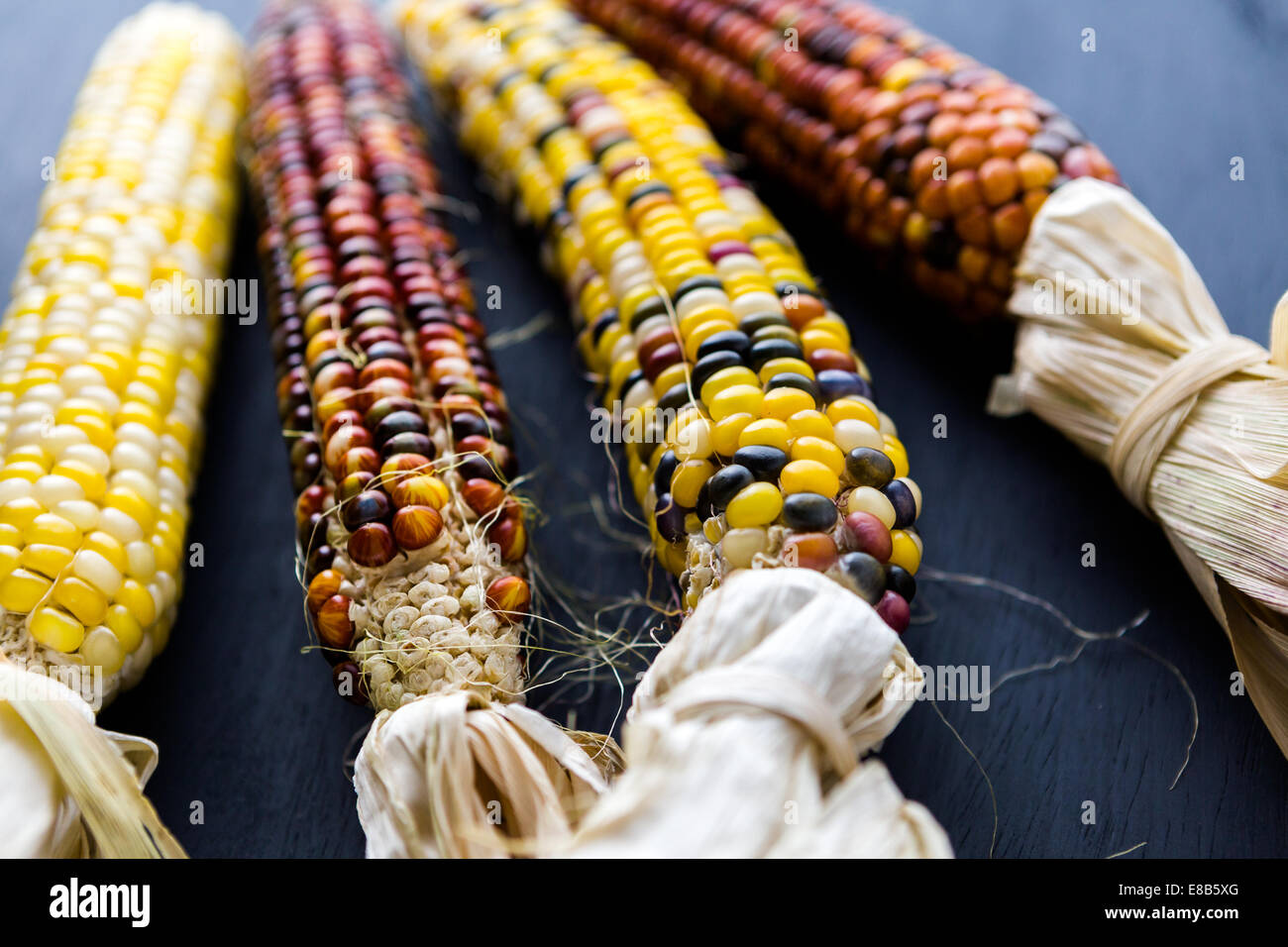 Multi colored indian corn made for Thanksgiving decoration Stock Photo ...