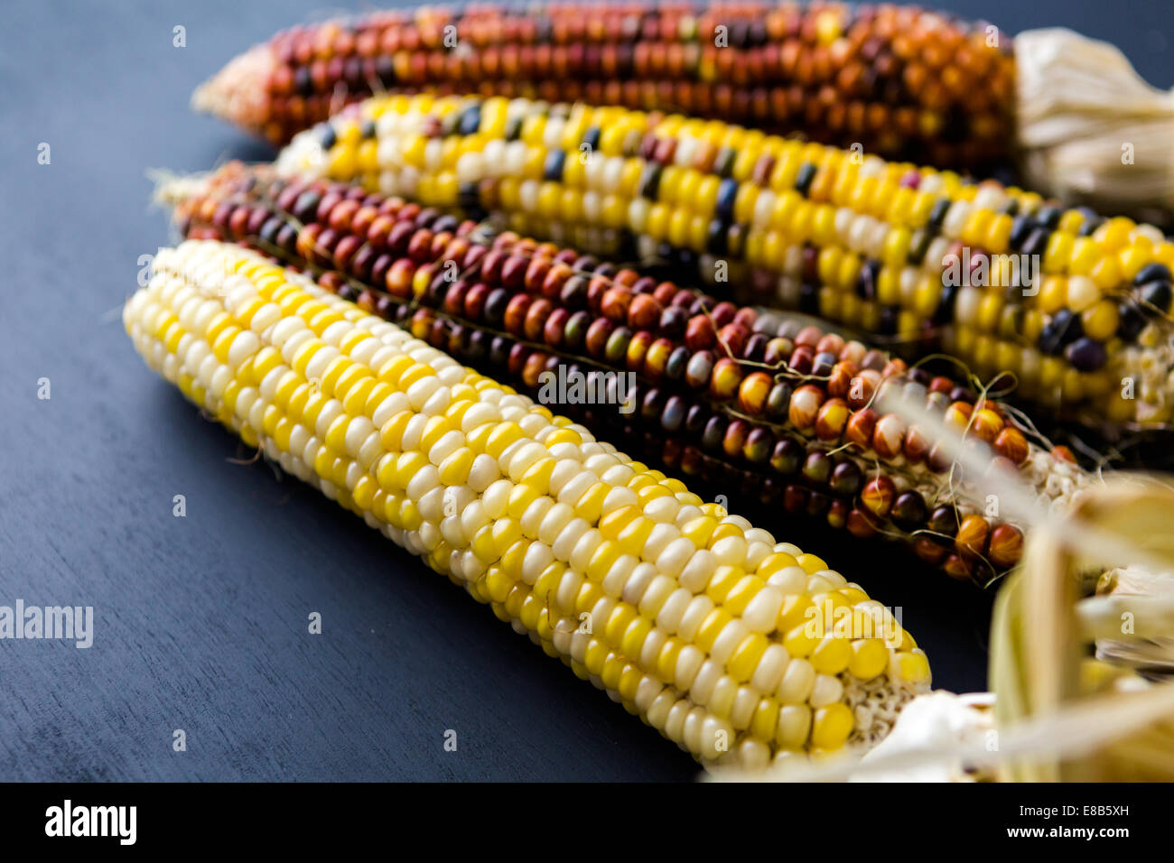Multi colored indian corn made for Thanksgiving decoration Stock Photo ...
