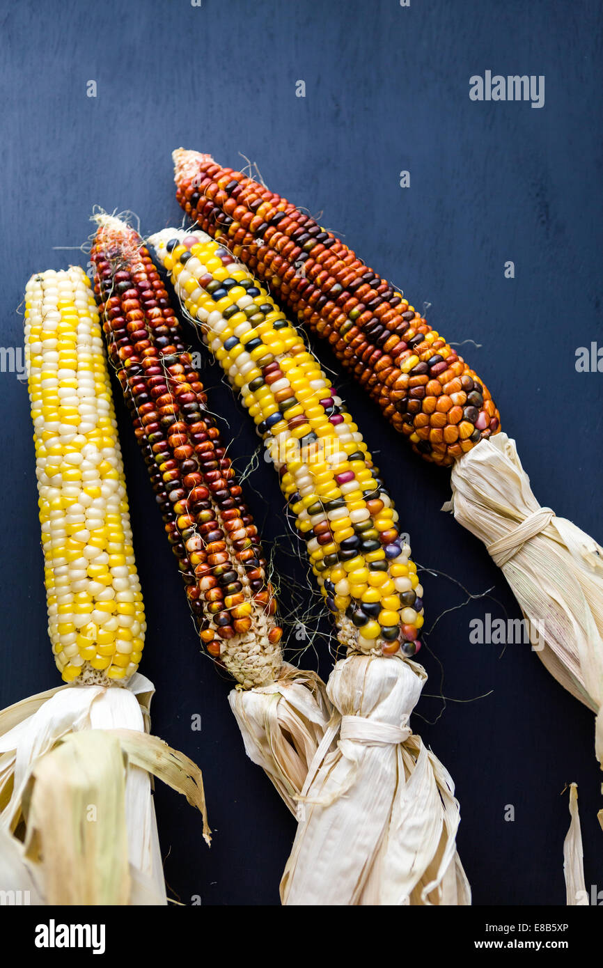 Multi colored indian corn made for Thanksgiving decoration Stock Photo ...
