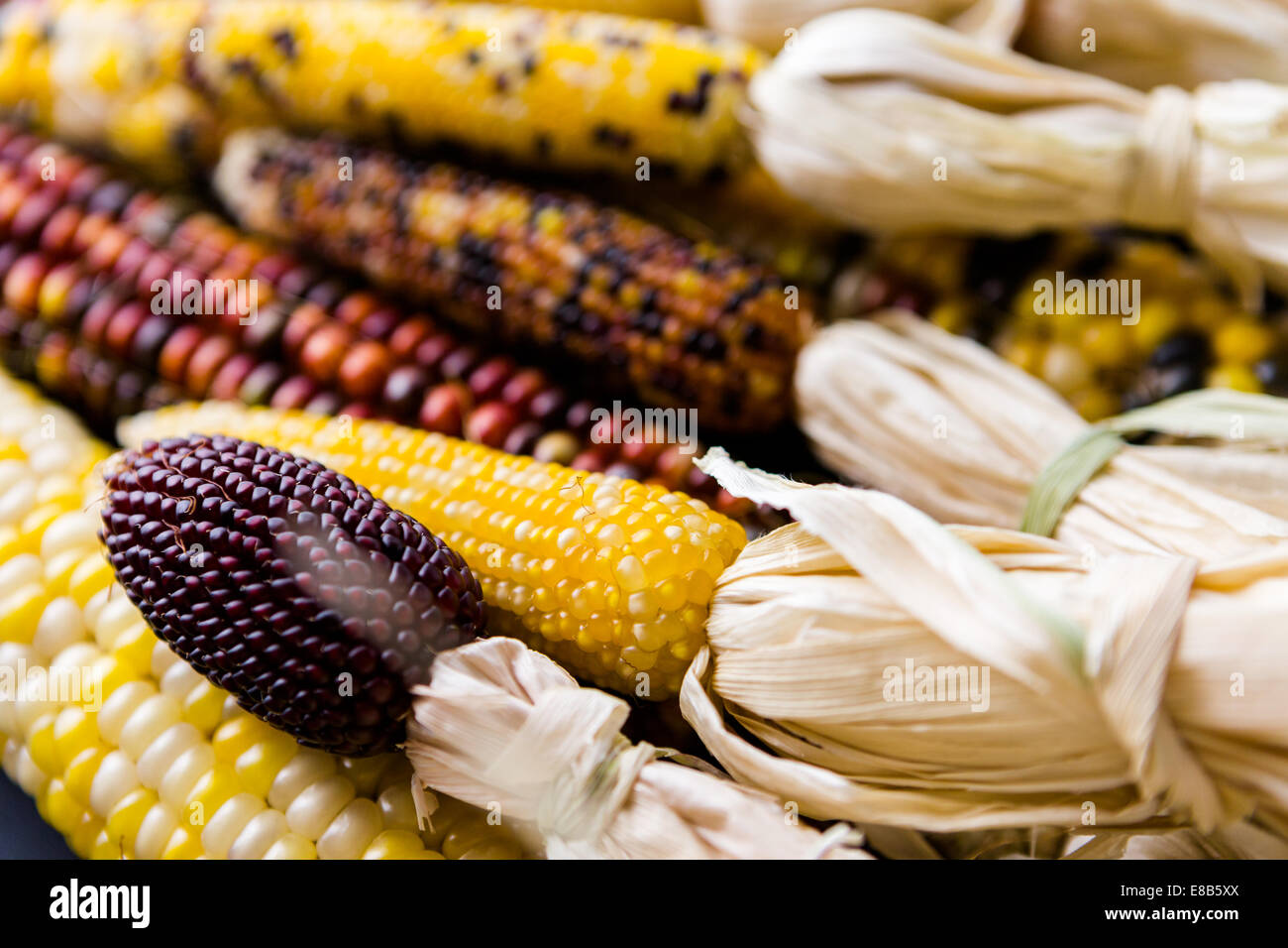 Multi colored indian corn made for Thanksgiving decoration Stock Photo ...