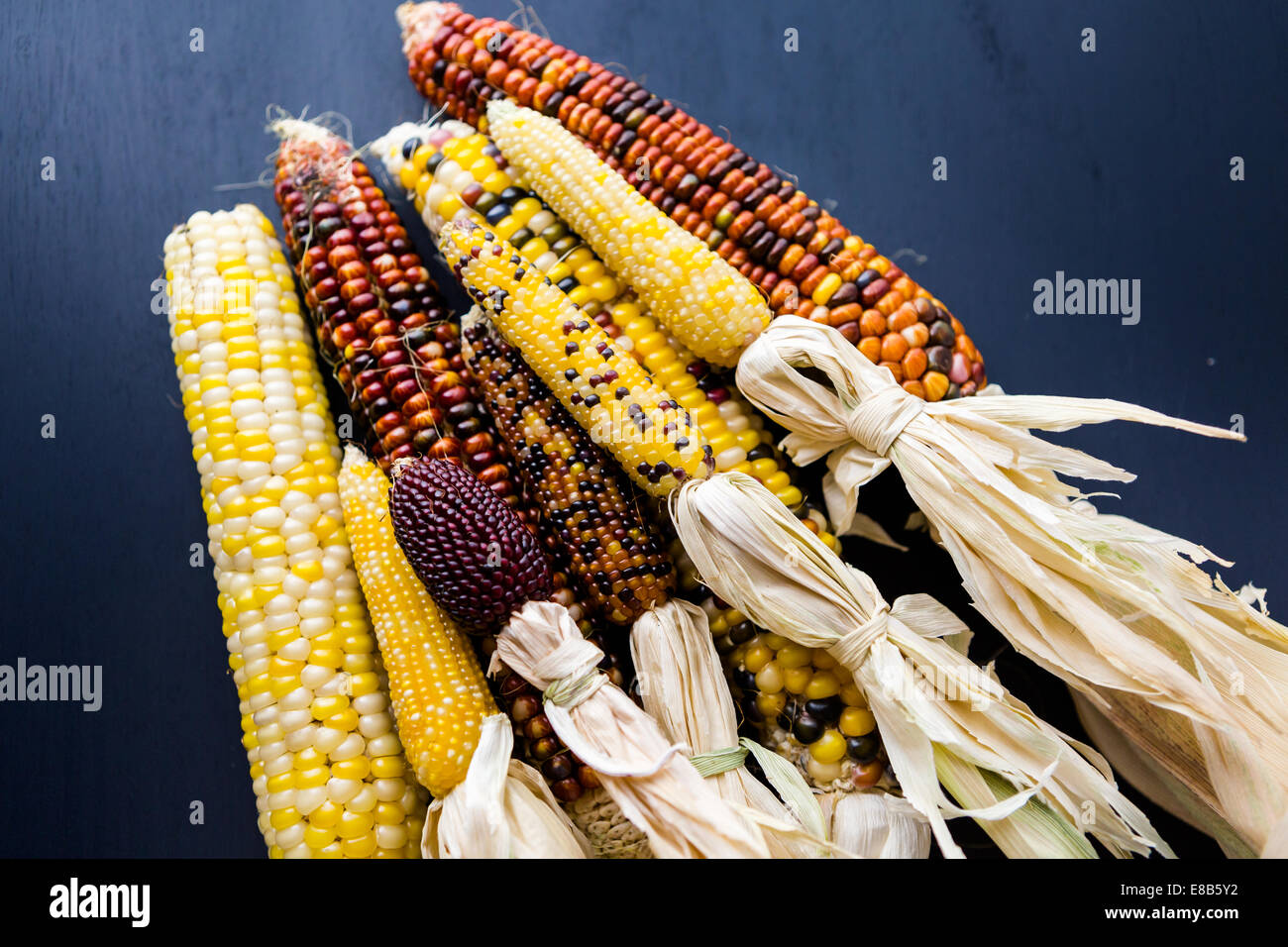 Multi colored indian corn made for Thanksgiving decoration Stock Photo ...