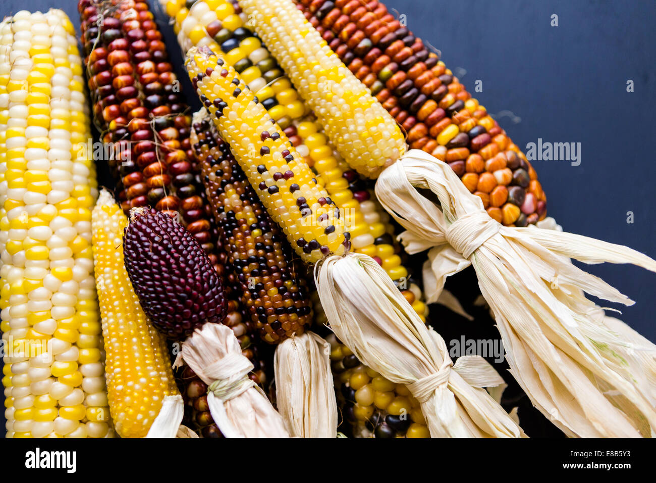 Multi colored indian corn made for Thanksgiving decoration Stock Photo ...