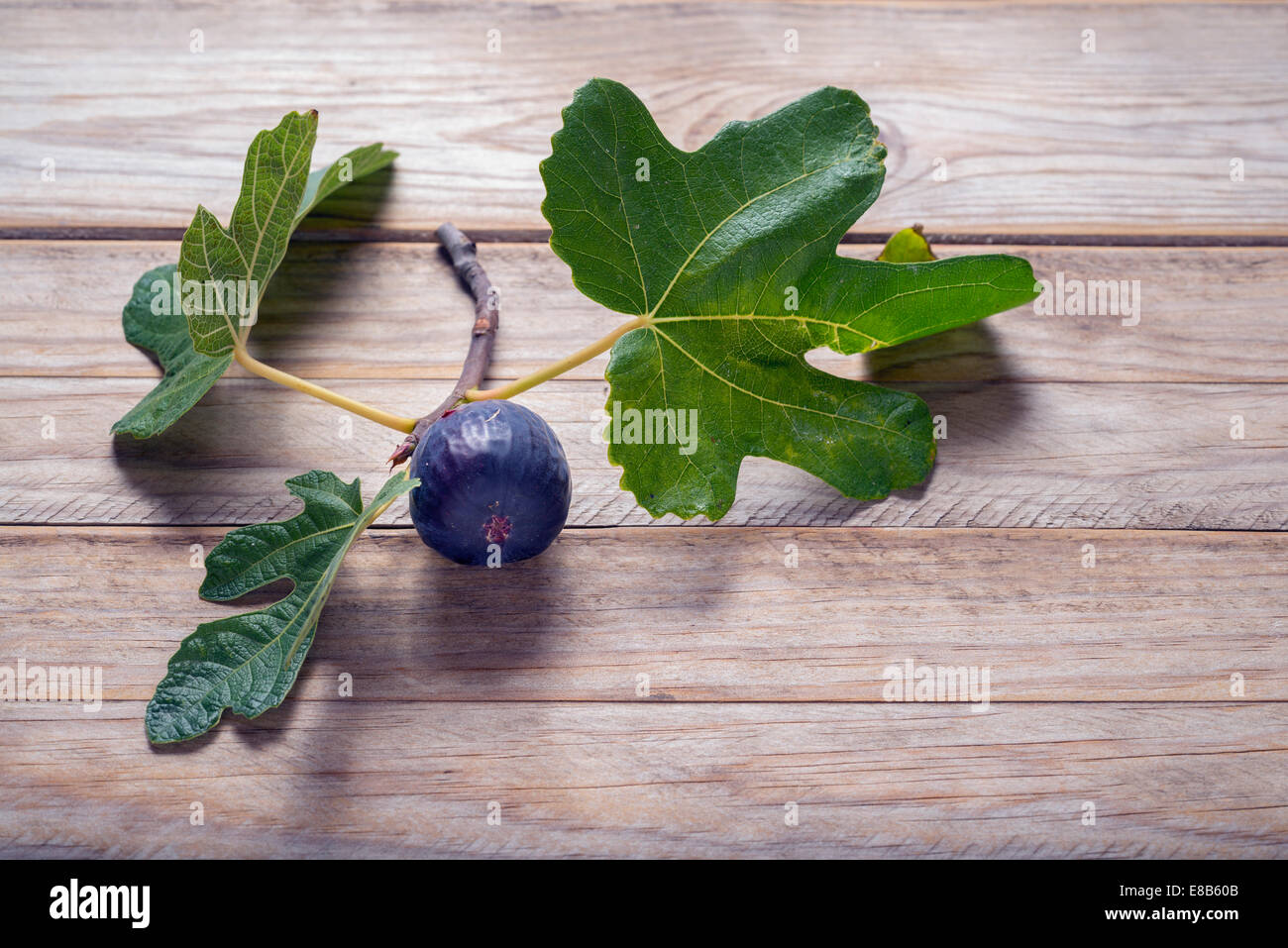 Leaf fig table hi-res stock photography and images - Alamy
