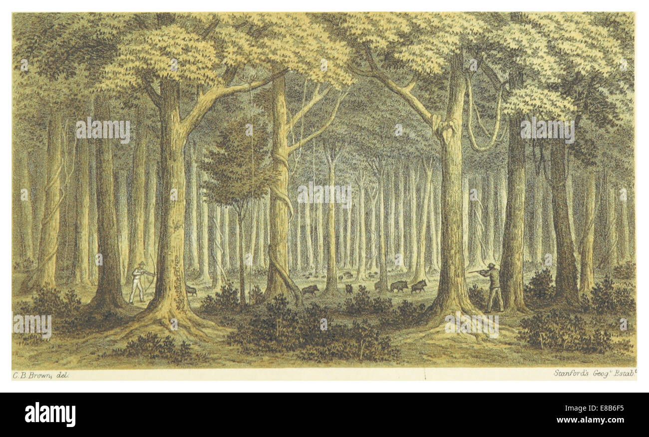 This illustration from BritGY depicts the activity of shooting bush ...