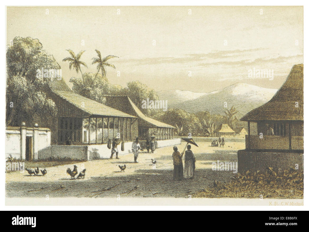 Amboina High Resolution Stock Photography and Images - Alamy