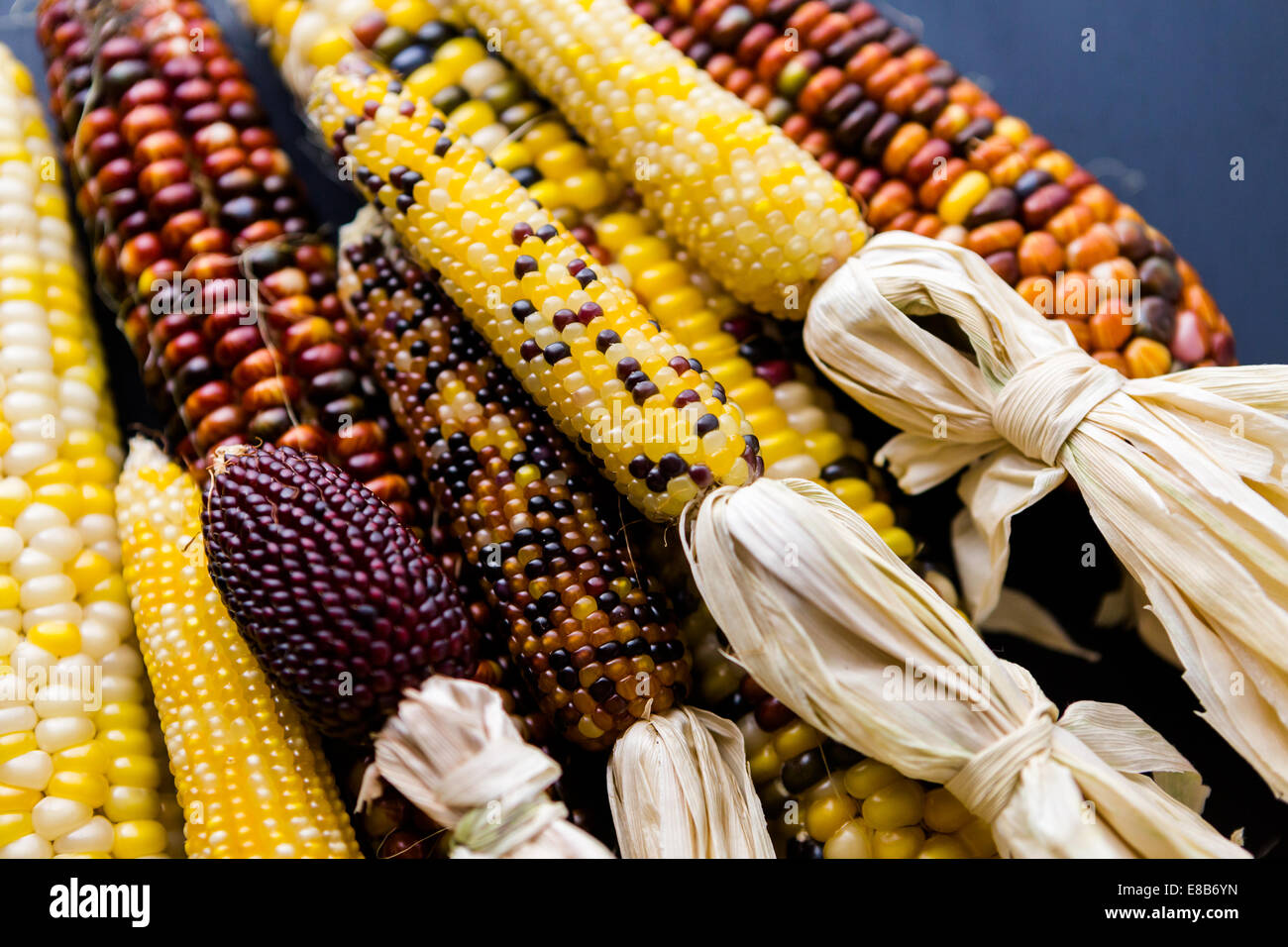 Multi colored indian corn made for Thanksgiving decoration Stock Photo ...