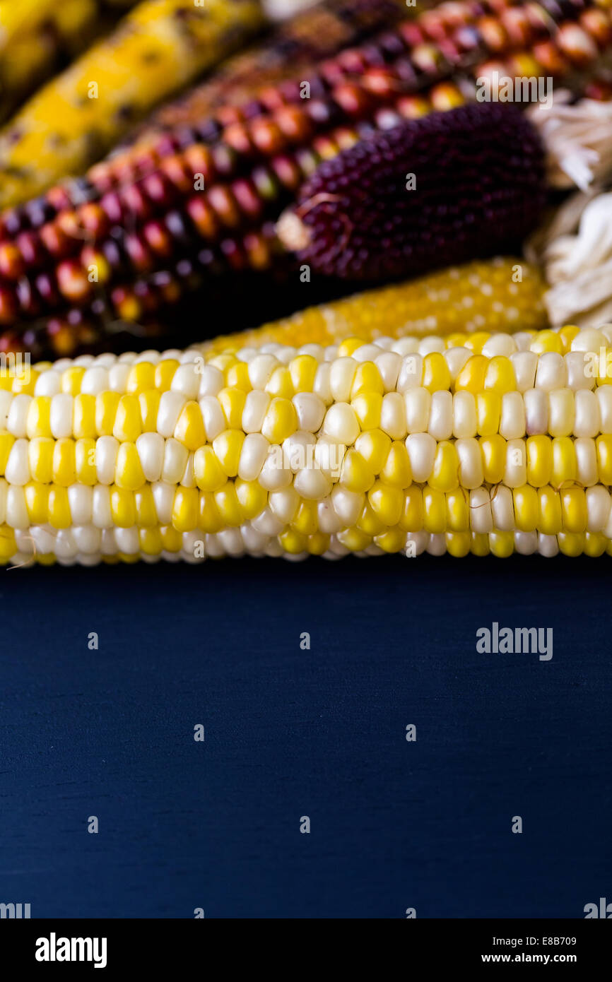 Multi colored indian corn made for Thanksgiving decoration Stock Photo ...