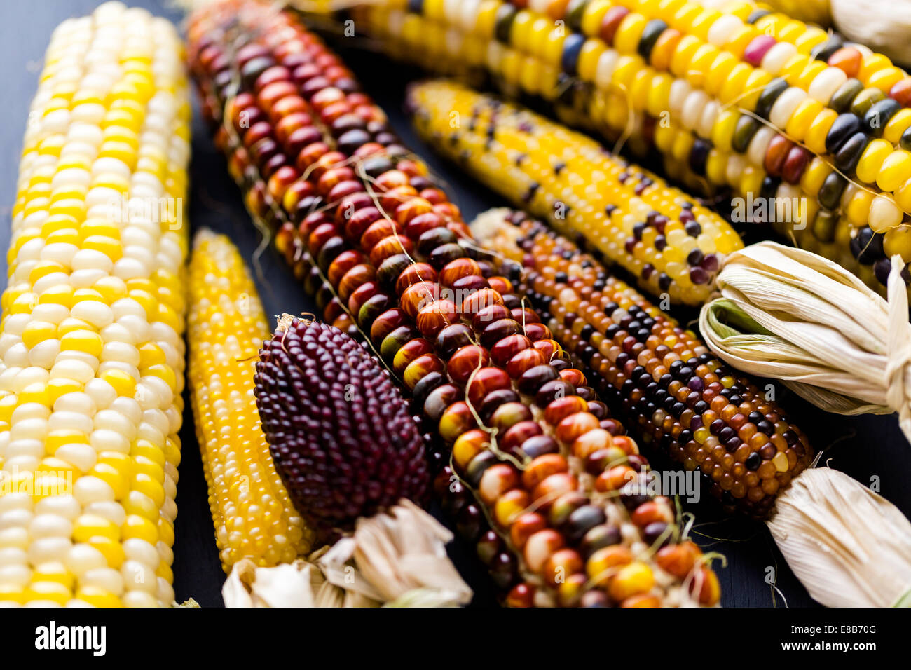 Multi colored indian corn made for Thanksgiving decoration Stock Photo ...