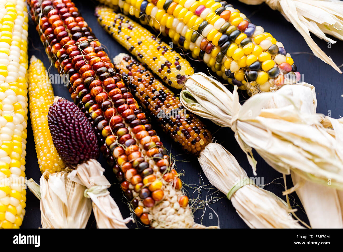 Multi colored indian corn made for Thanksgiving decoration Stock Photo ...