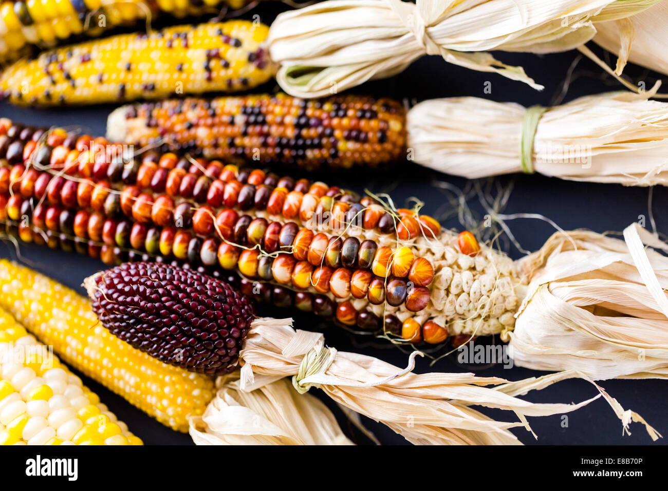 Multi colored indian corn made for Thanksgiving decoration Stock Photo ...
