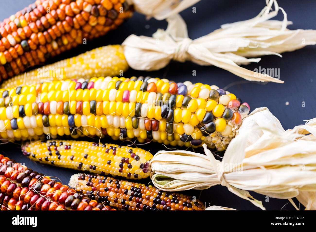 Multi colored indian corn made for Thanksgiving decoration Stock Photo ...