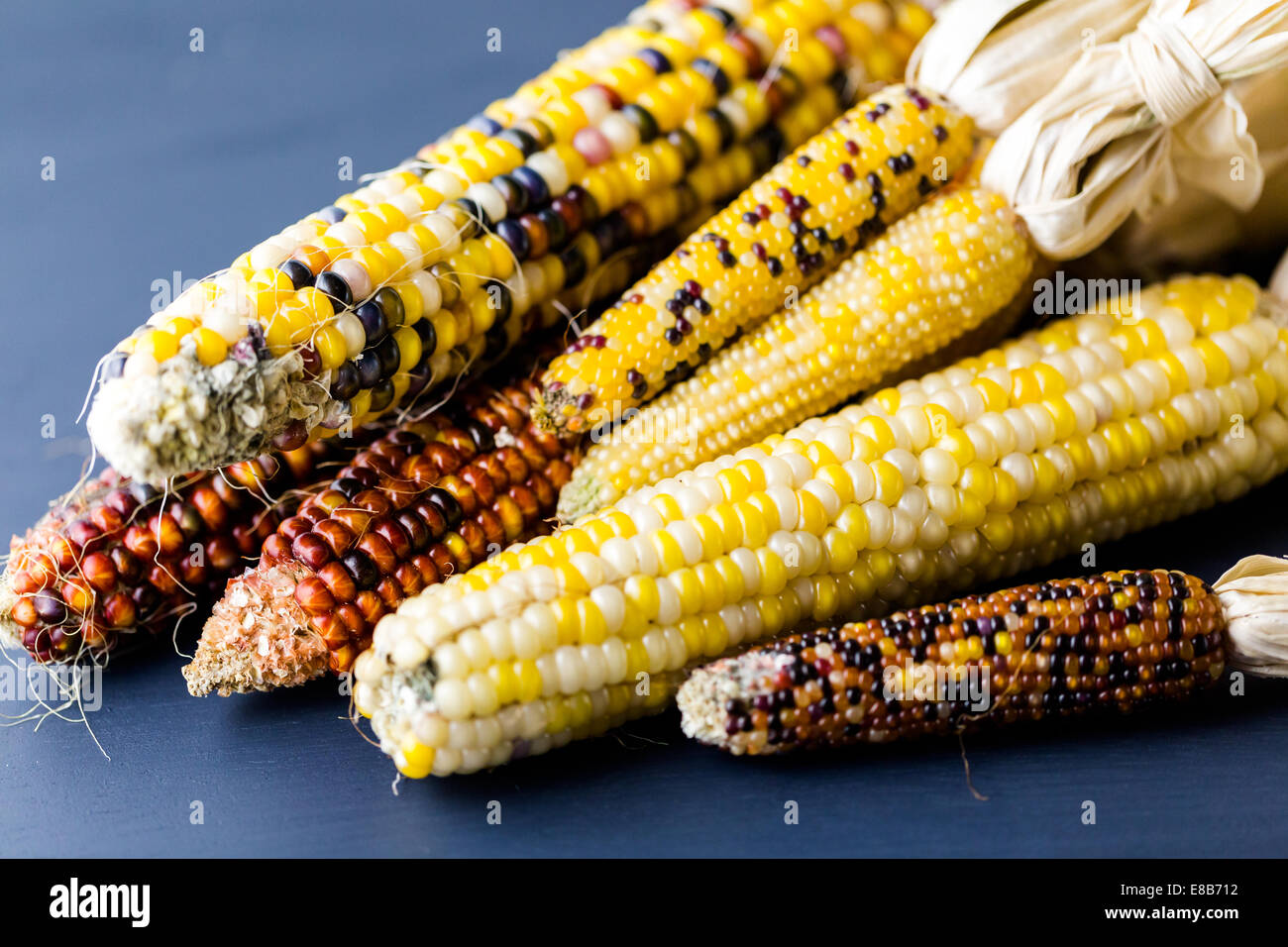 Multi colored indian corn made for Thanksgiving decoration Stock Photo ...
