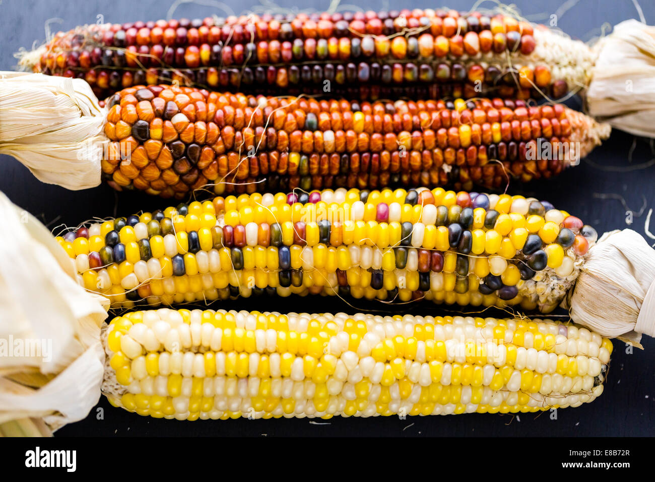 Multi colored indian corn made for Thanksgiving decoration Stock Photo ...