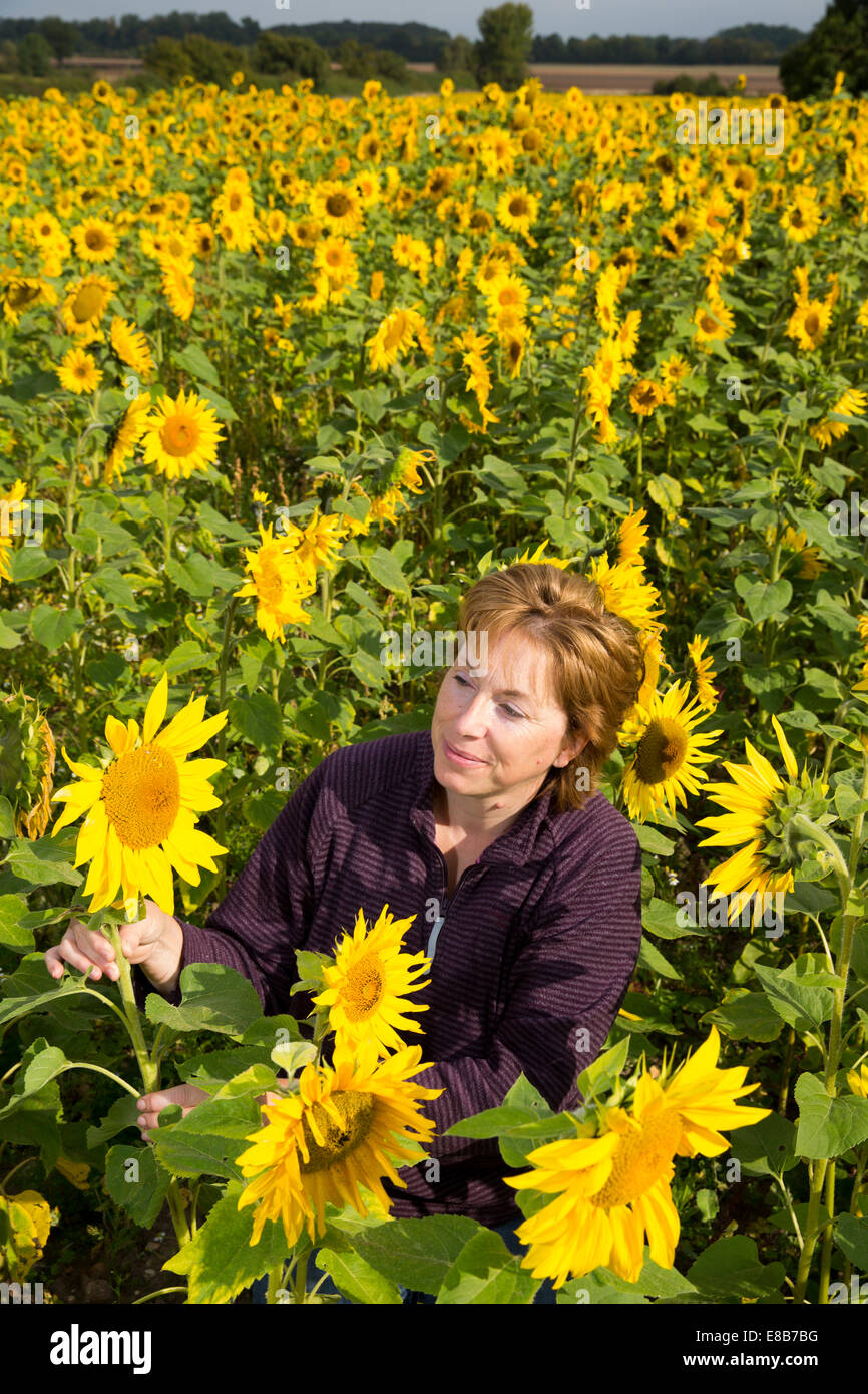Maria Davies walks through a field of sunflowers in the village of ...