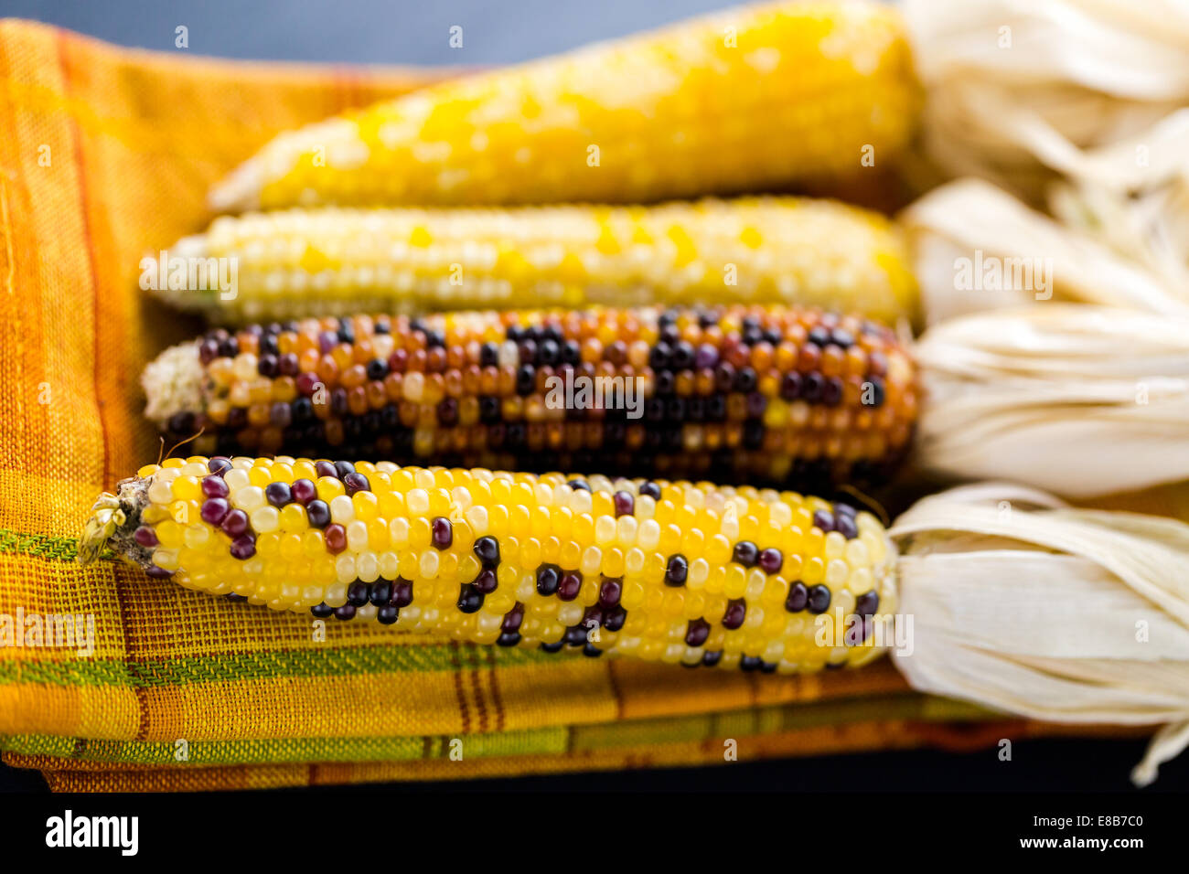 Multi colored indian corn made for Thanksgiving decoration Stock Photo ...