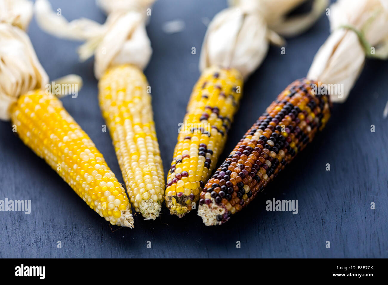 Multi colored indian corn made for Thanksgiving decoration Stock Photo ...
