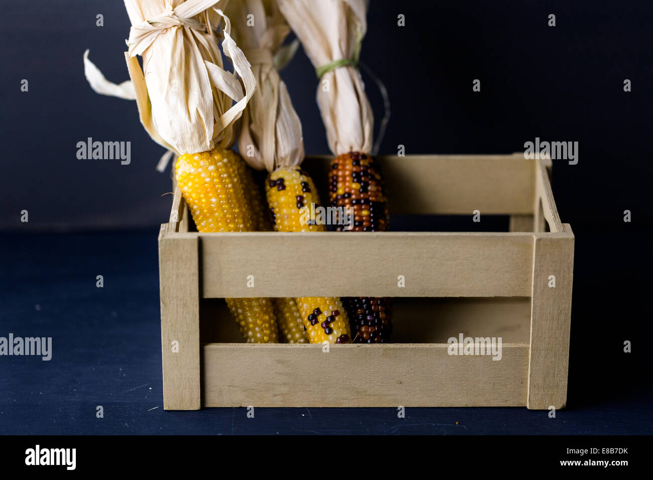 Multi colored indian corn made for Thanksgiving decoration Stock Photo ...