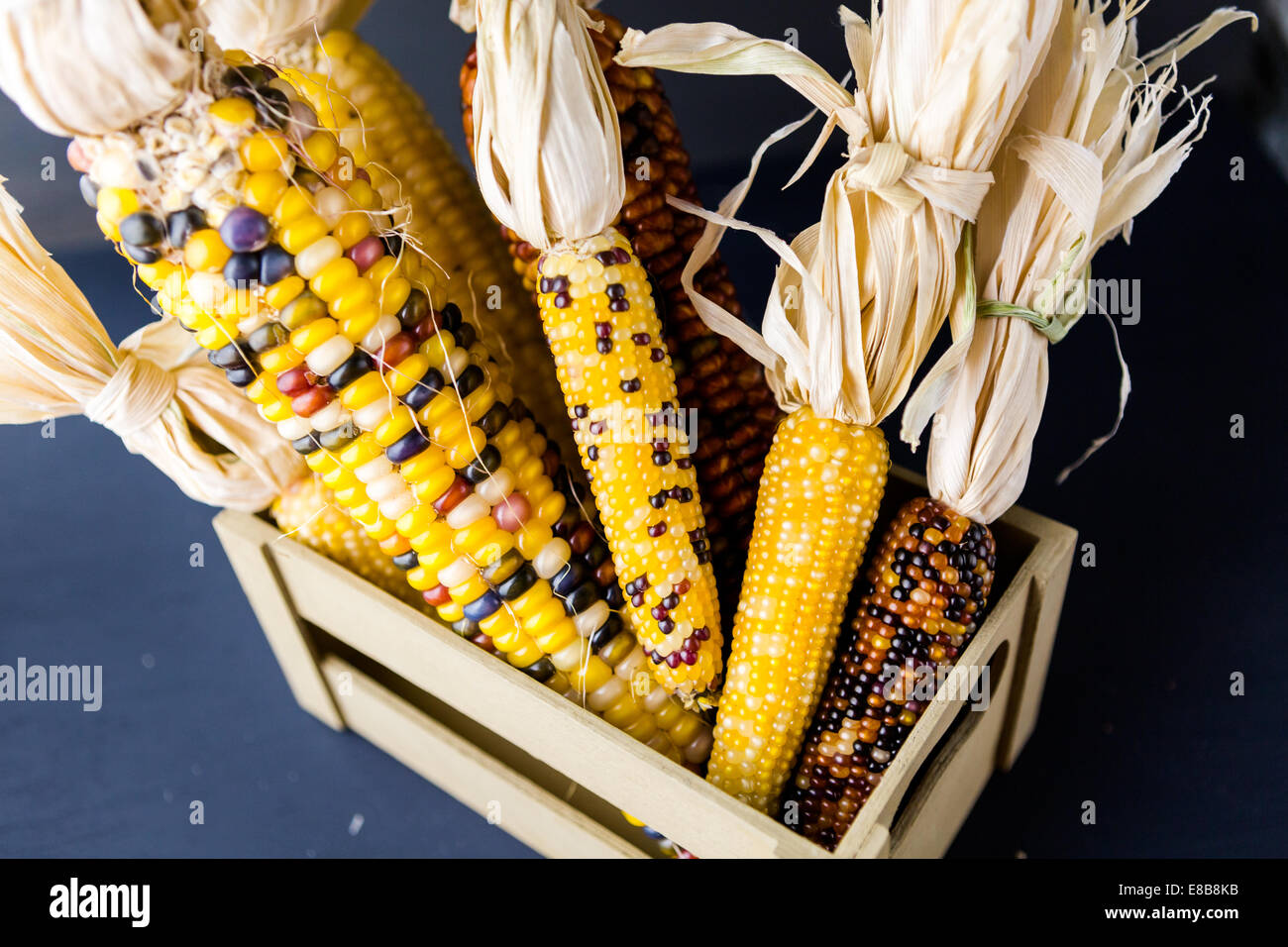 Multi colored indian corn made for Thanksgiving decoration Stock Photo ...