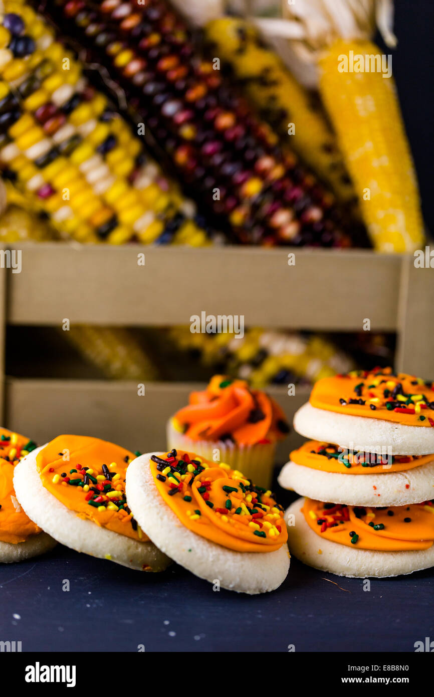 Multi colored indian corn made for Thanksgiving decoration Stock Photo ...