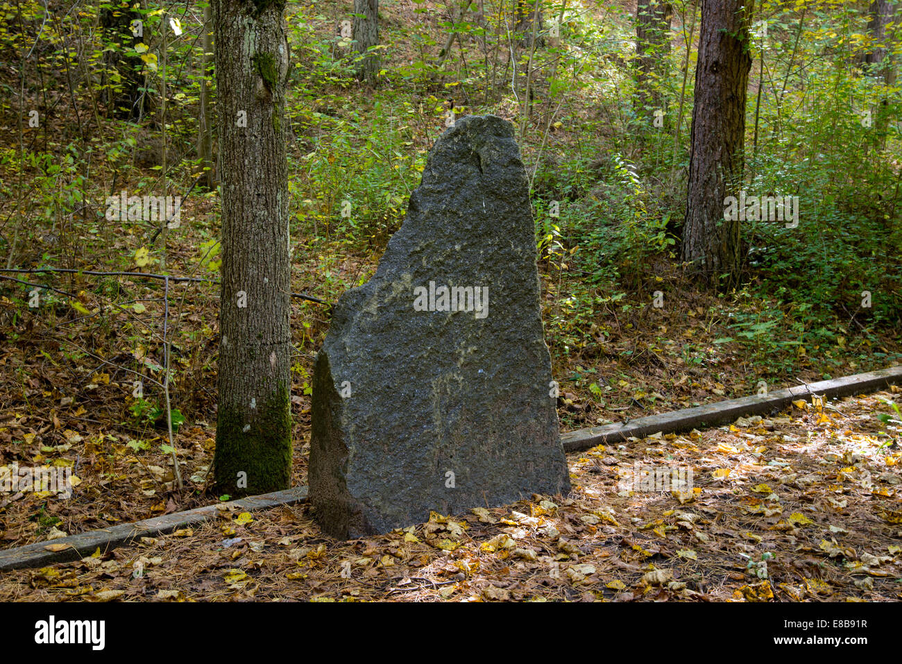 Solitary rock in the forest Stock Photo - Alamy