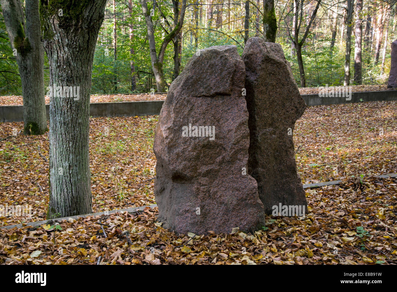 Solitary rocks in the forest Stock Photo - Alamy