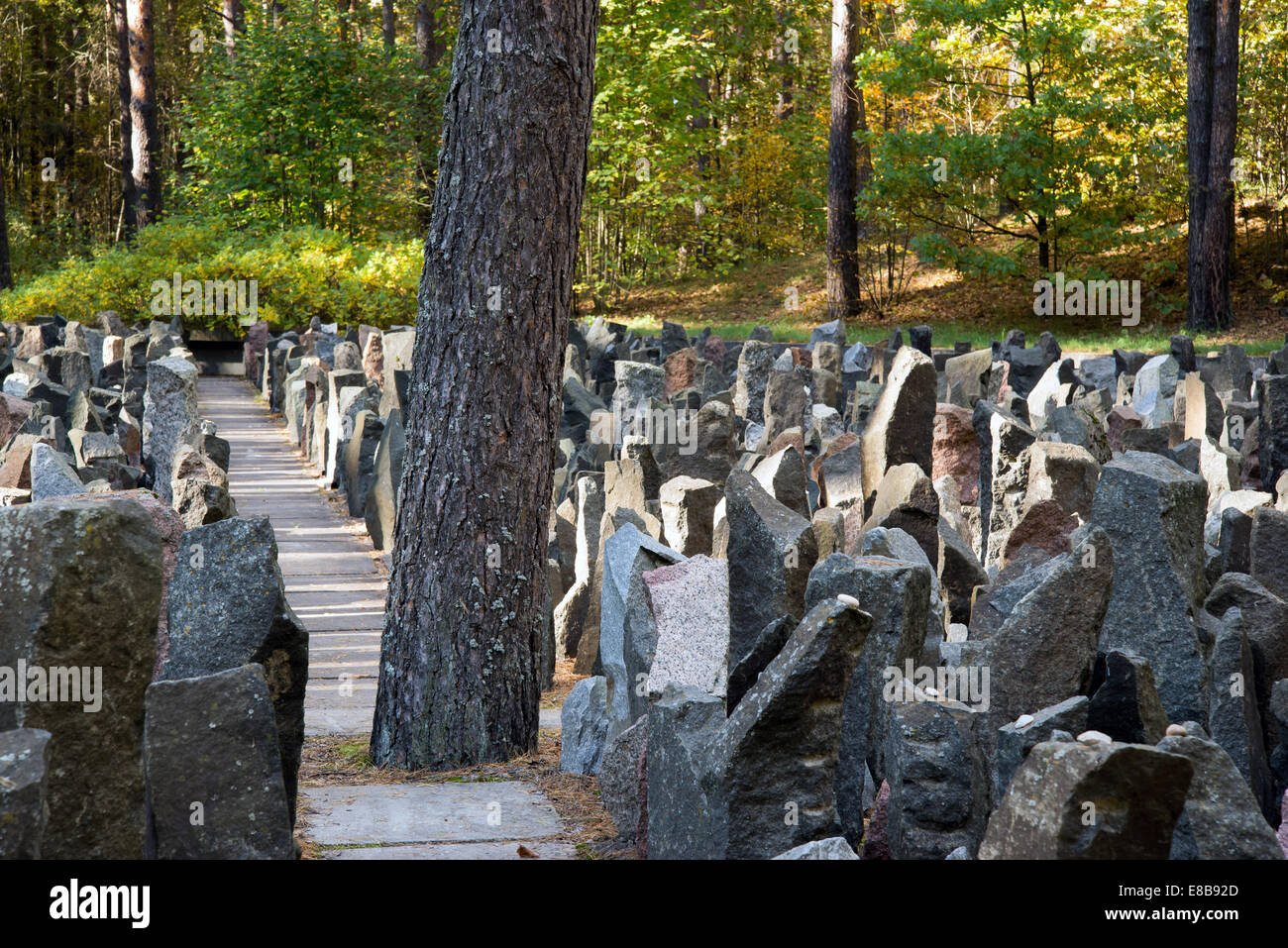 Passage between rocks in the forest Stock Photo - Alamy