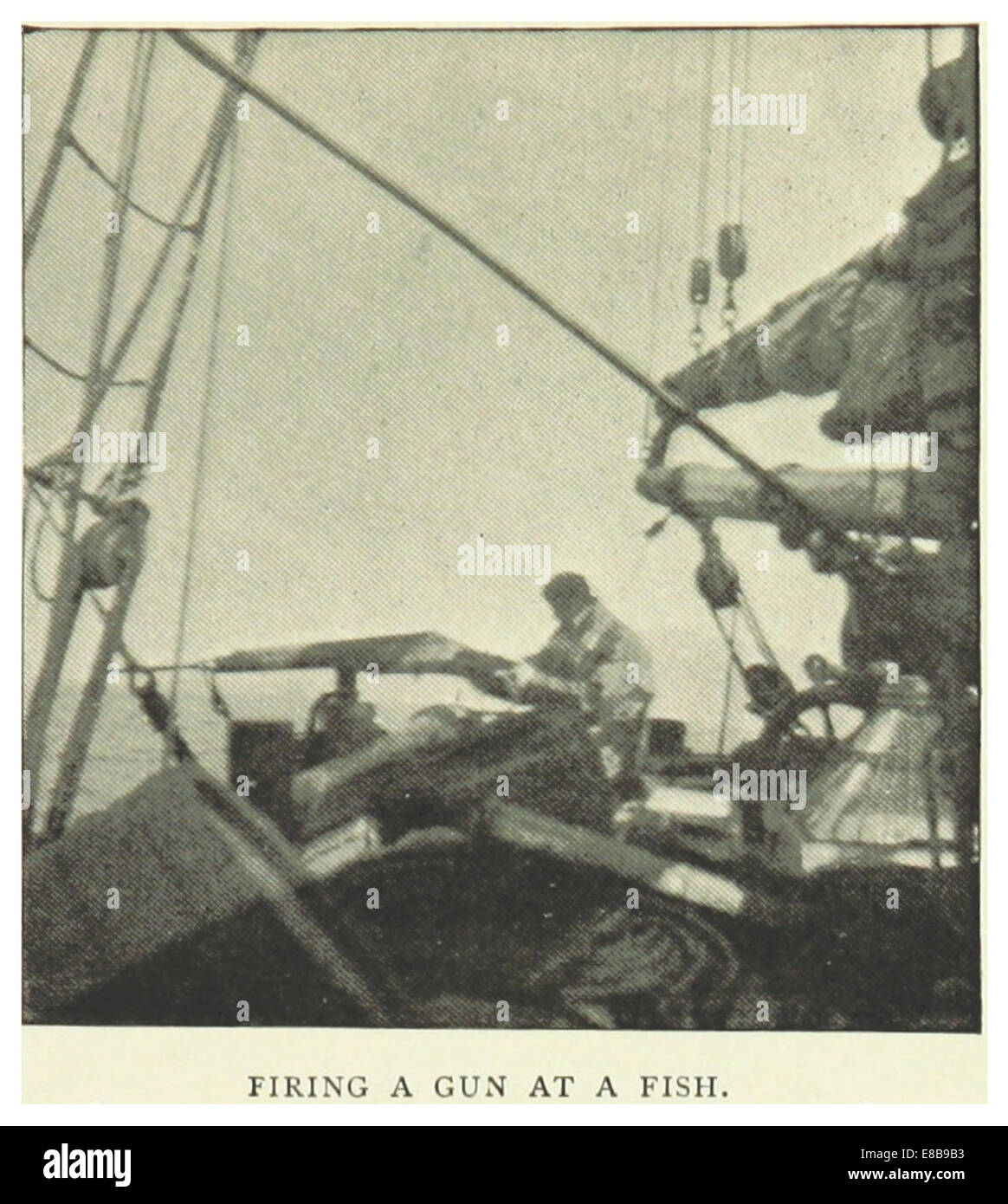 This 1898 illustration depicts the act of firing a gun at a fish ...