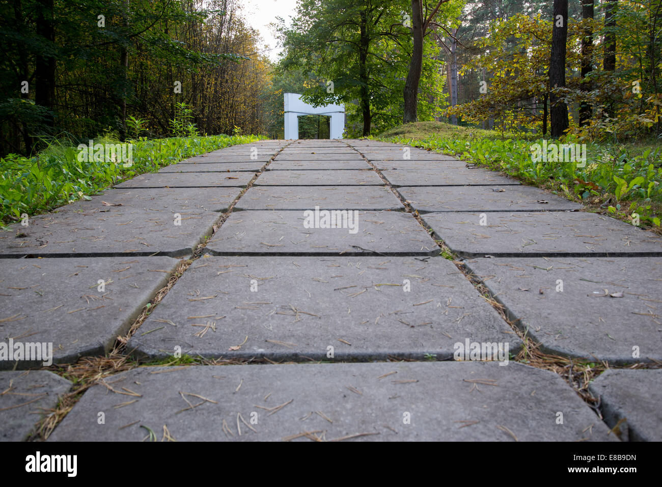 Old cobblestone road through forest hi-res stock photography and images ...