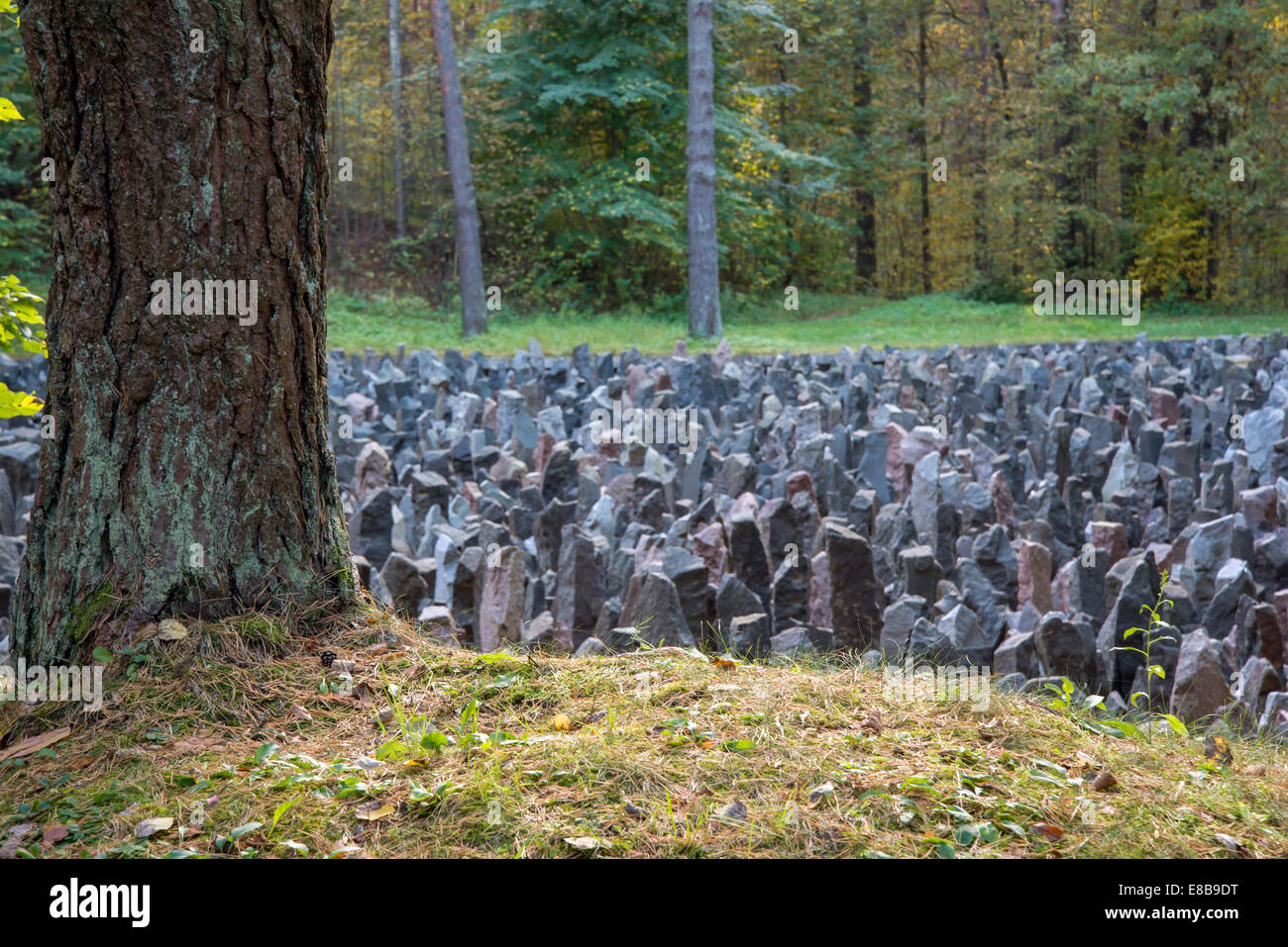 Is the ancient stone forest hi-res stock photography and images - Alamy