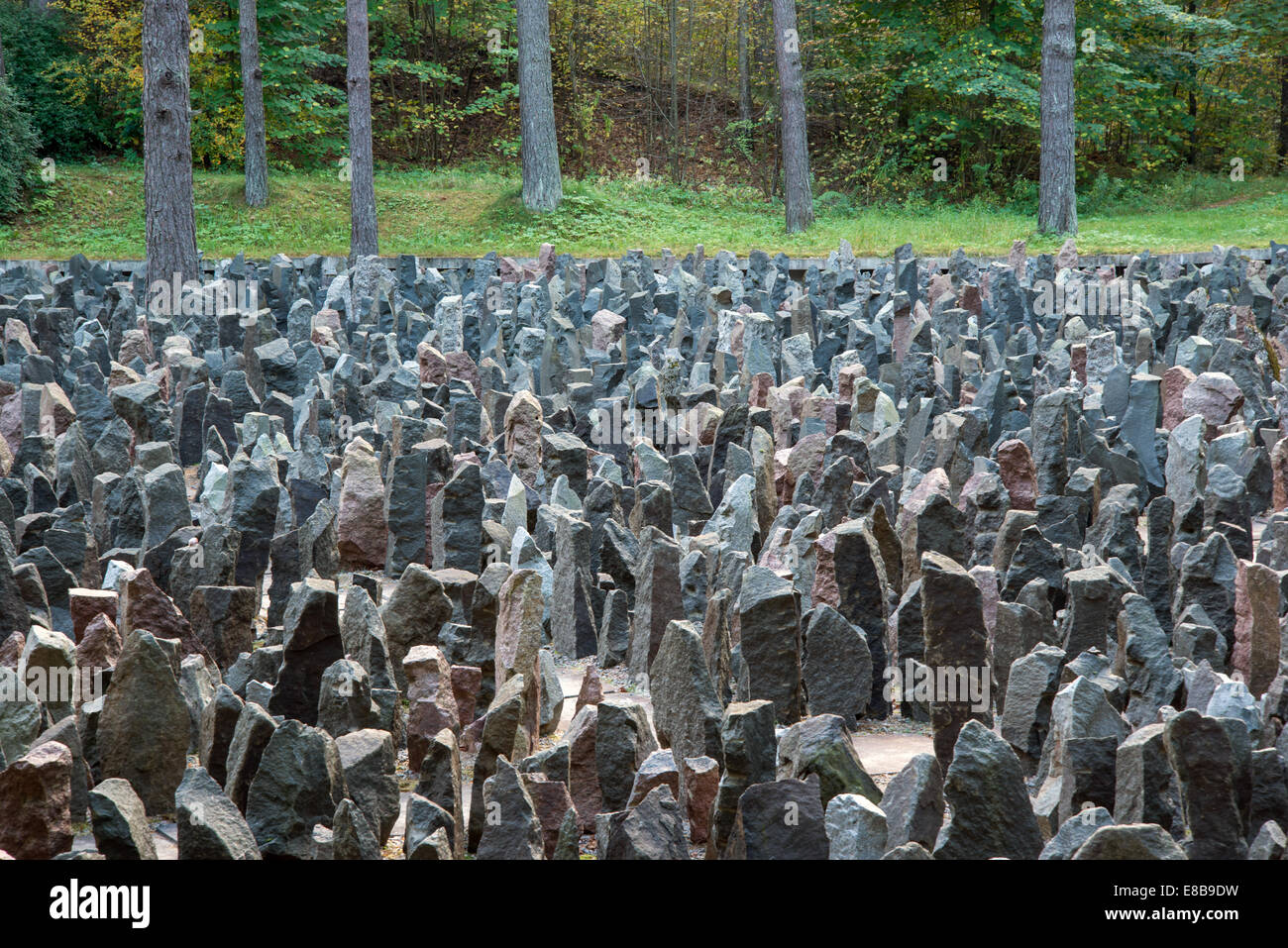 Field of rocks in the forest Stock Photo - Alamy