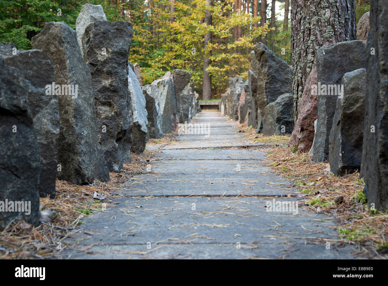 Passage between rocks in the forest Stock Photo - Alamy