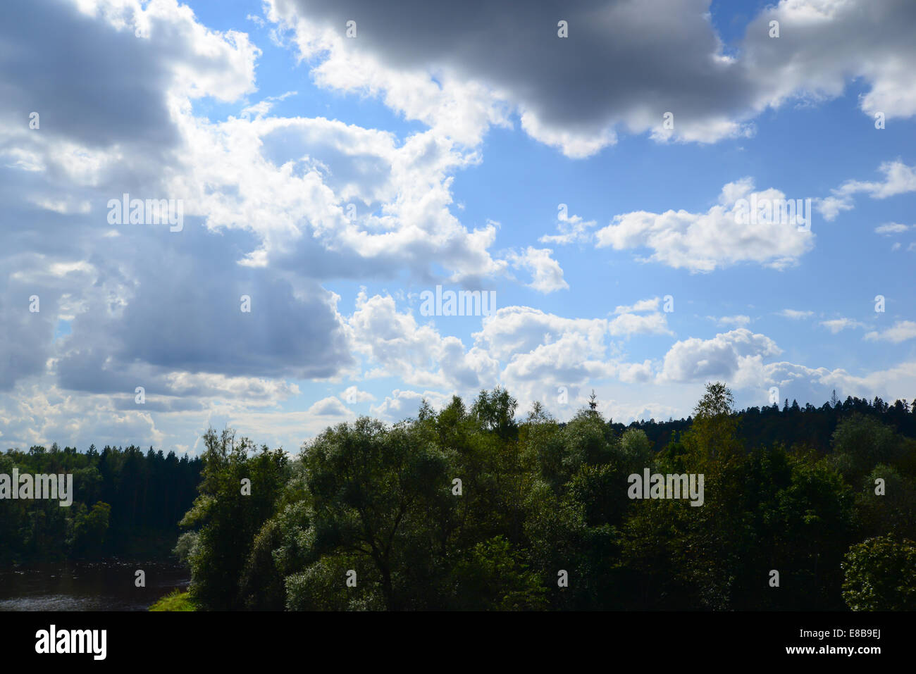 Clouds moving above trees hi-res stock photography and images - Alamy