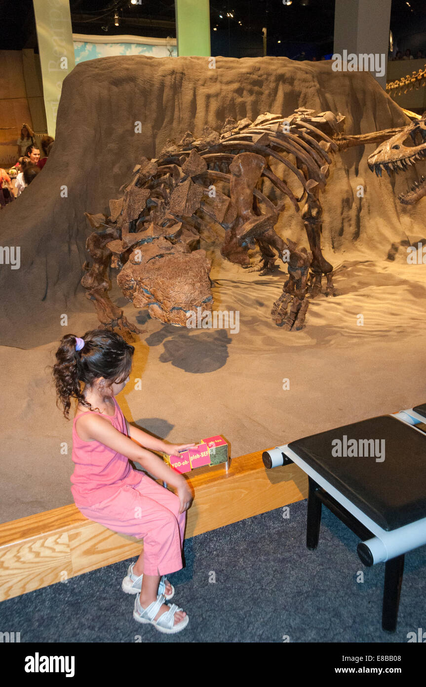 Elk203-6533v Canada, Alberta, Drumheller, Royal Tyrrell Museum ...