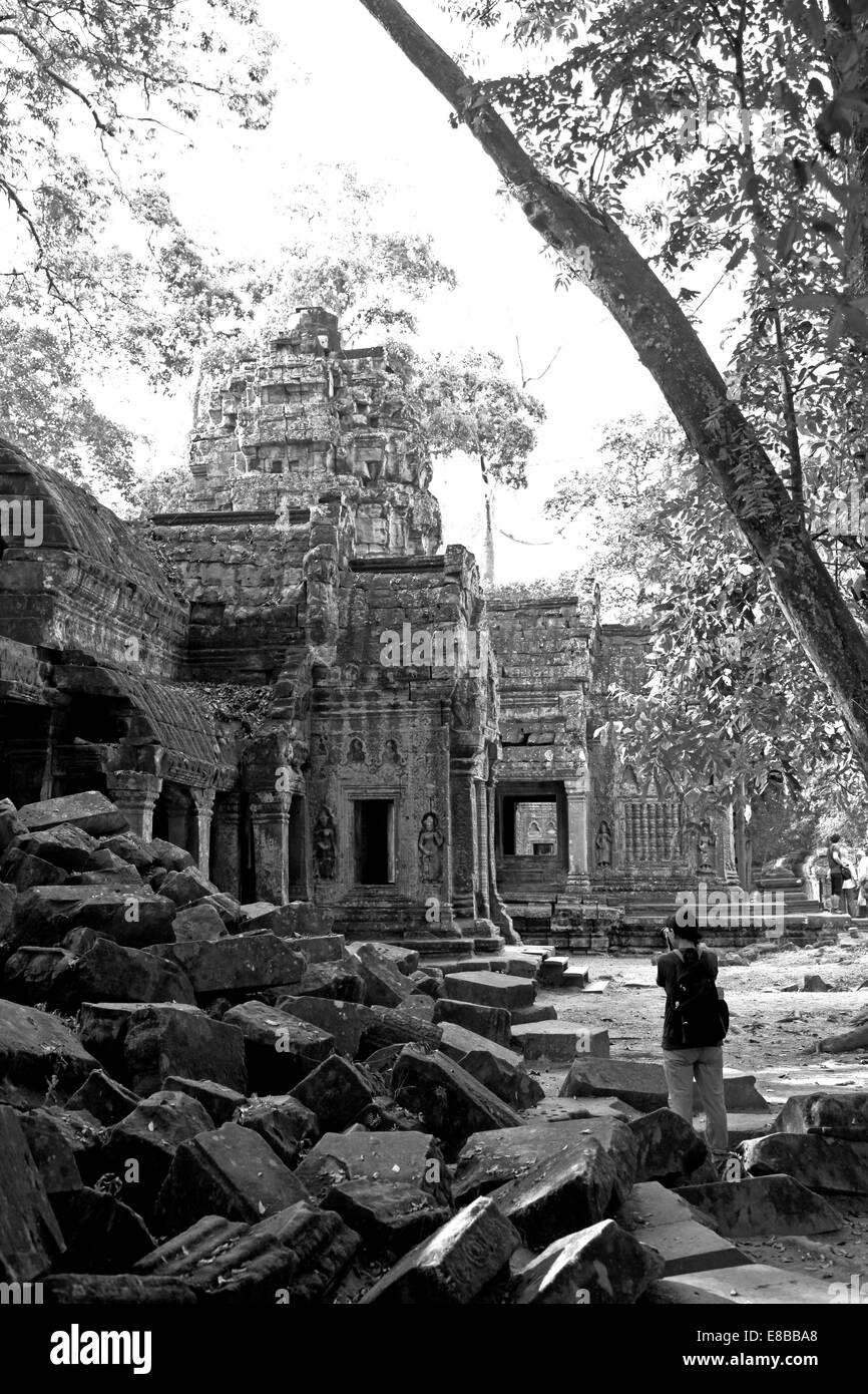 Ta prohm temple banyan tree Black and White Stock Photos & Images - Alamy