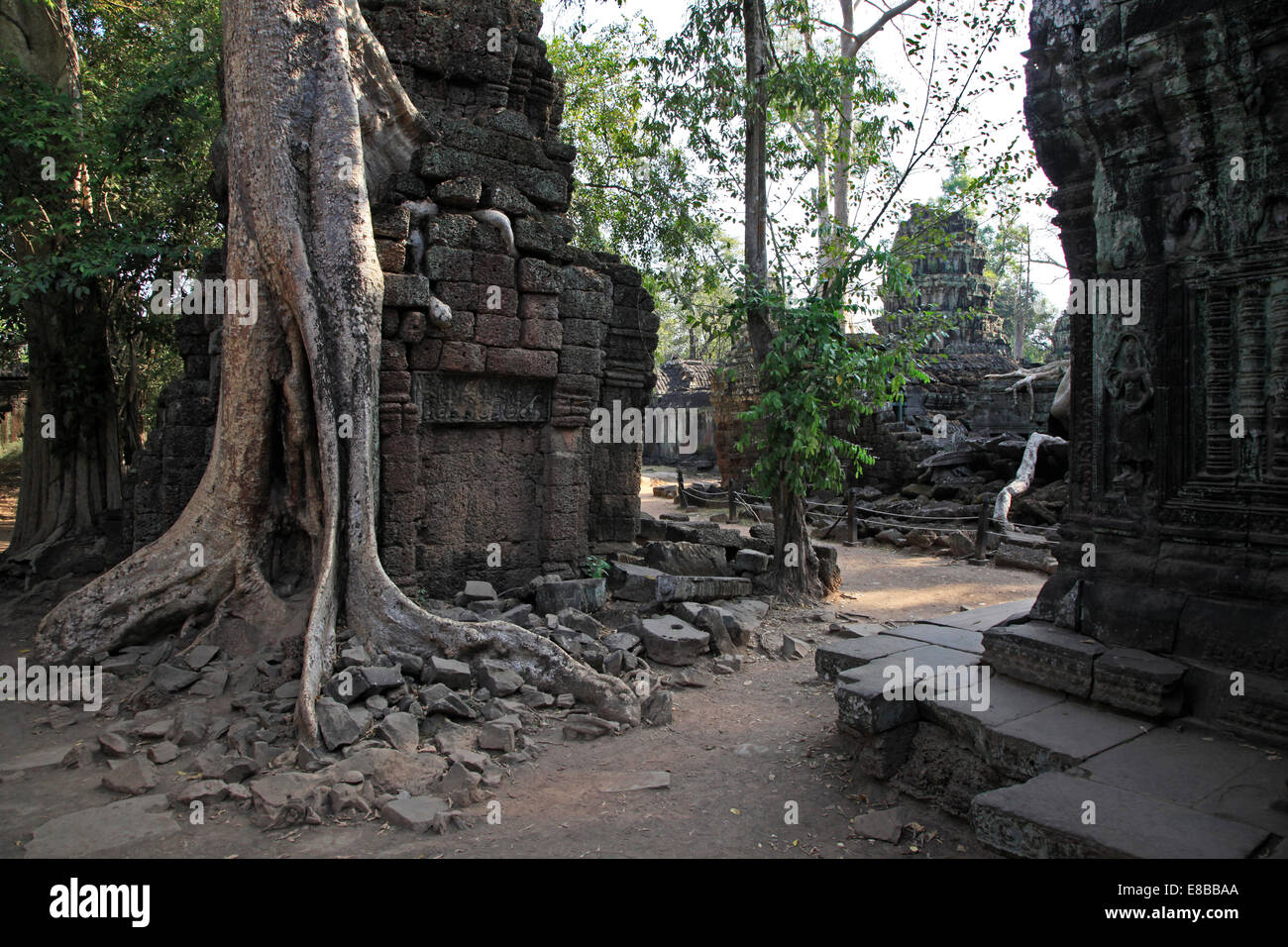 Ta Prohm Temple, Angkor Wat, Cambodia Stock Photo - Alamy