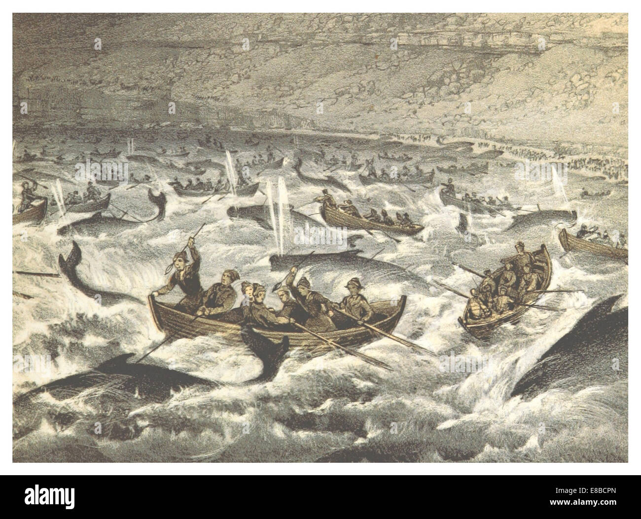 This 1854 illustration depicts traditional whale hunting practices ...