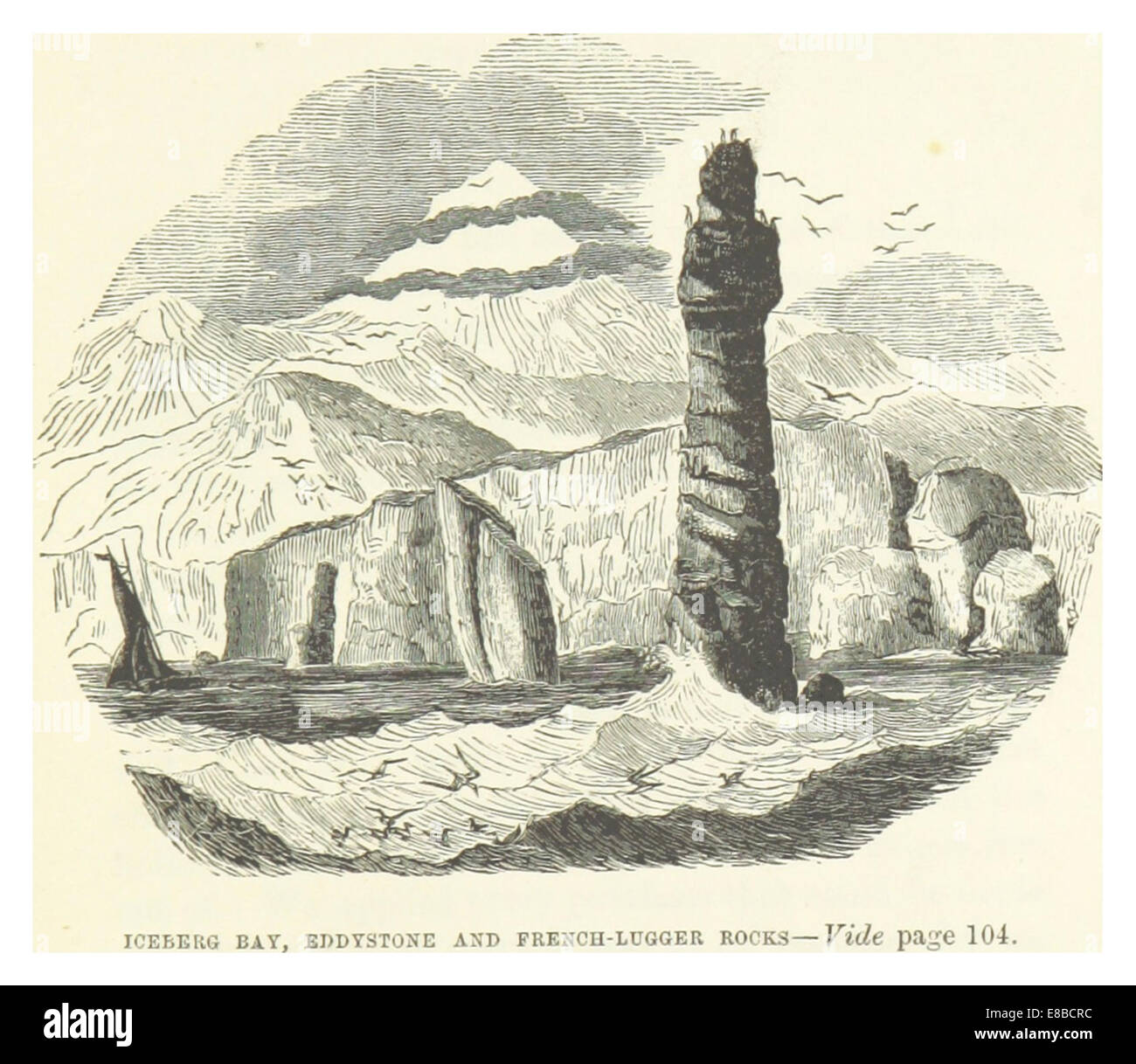 A map from 1850 by Nunn showing Iceberg Bay, Eddystone, and French ...