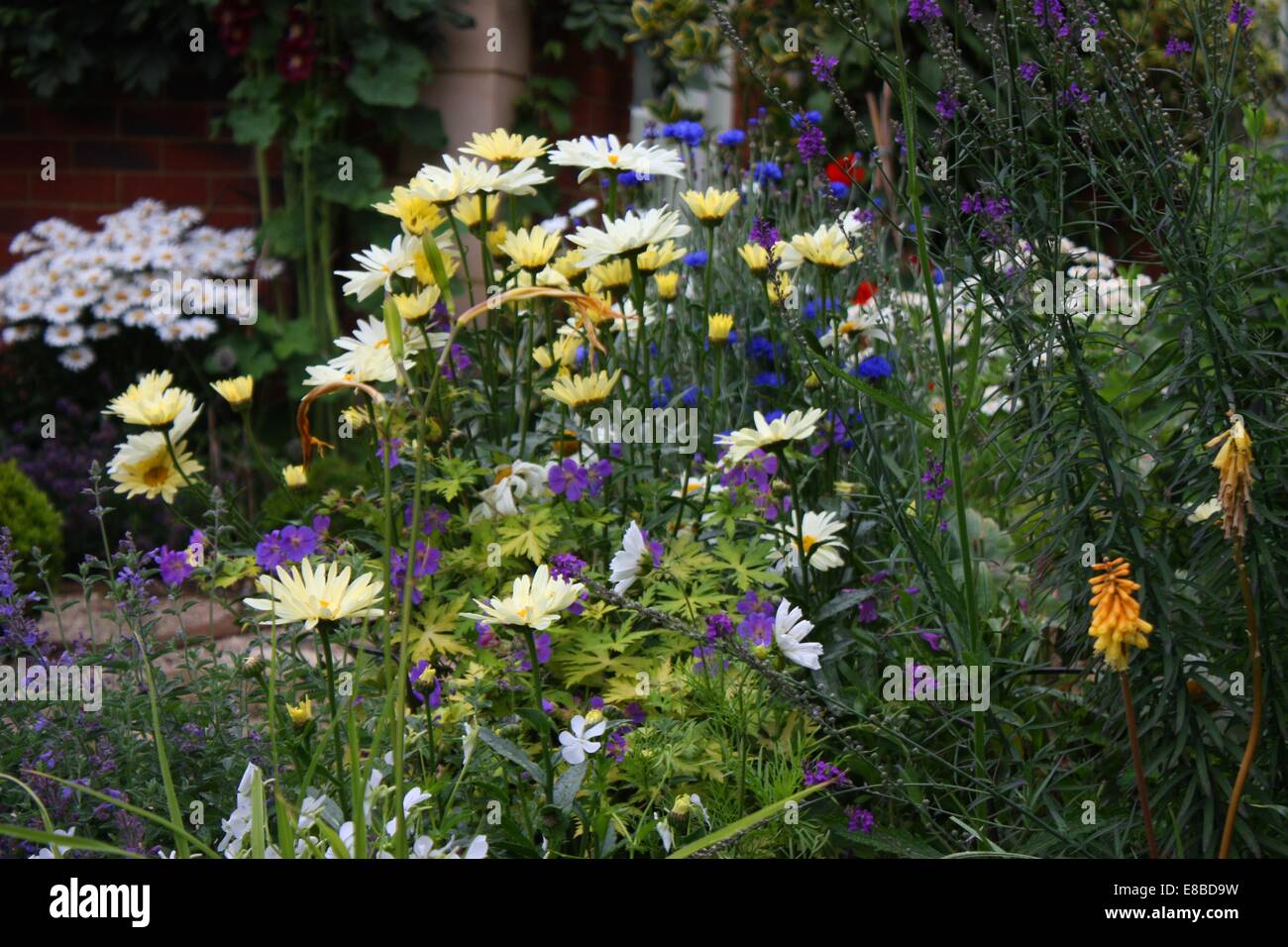 beautiful pretty plants in a garden environment Stock Photo - Alamy