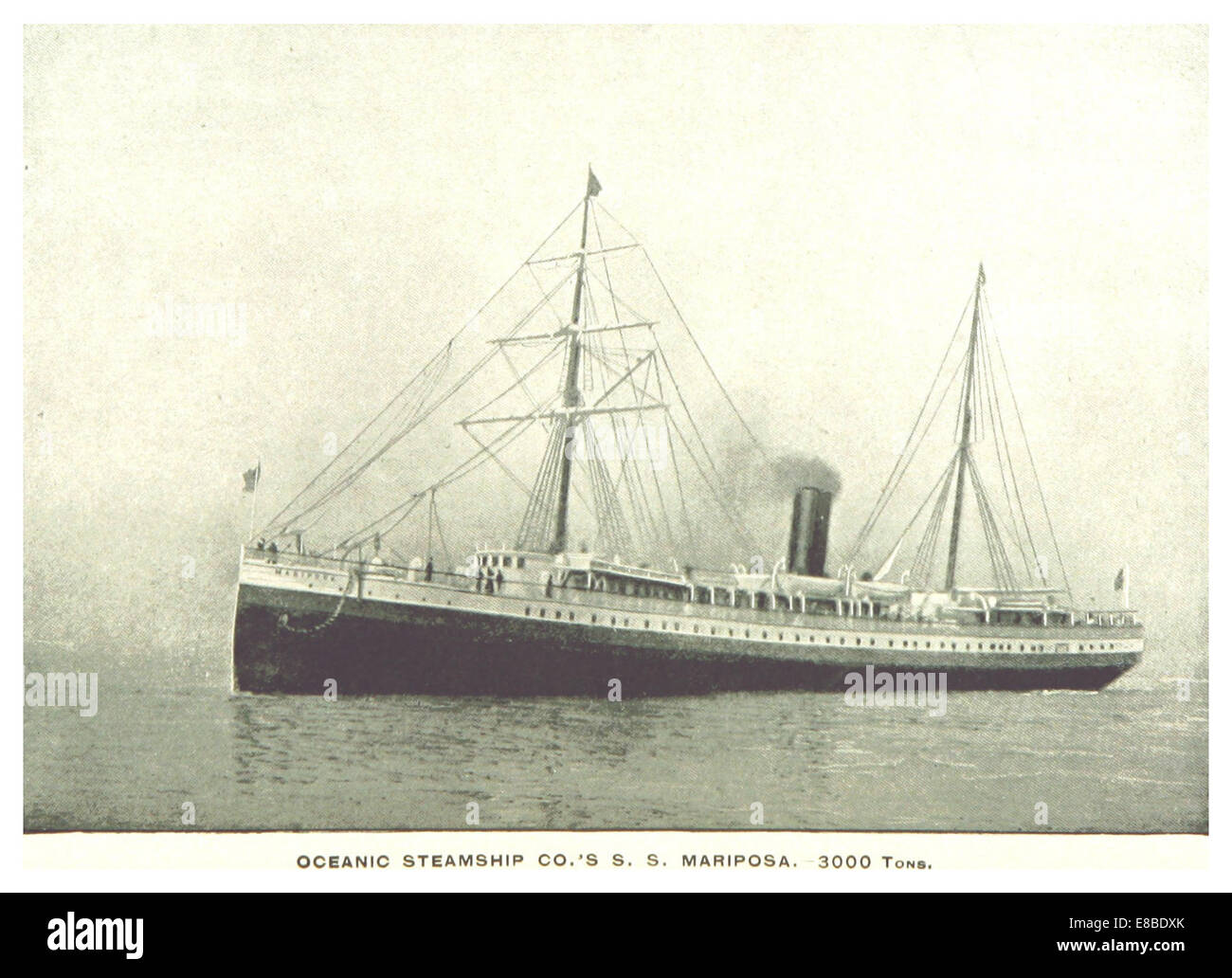 Illustration of the S.S. Mariposa, a ship owned by the Oceanic ...