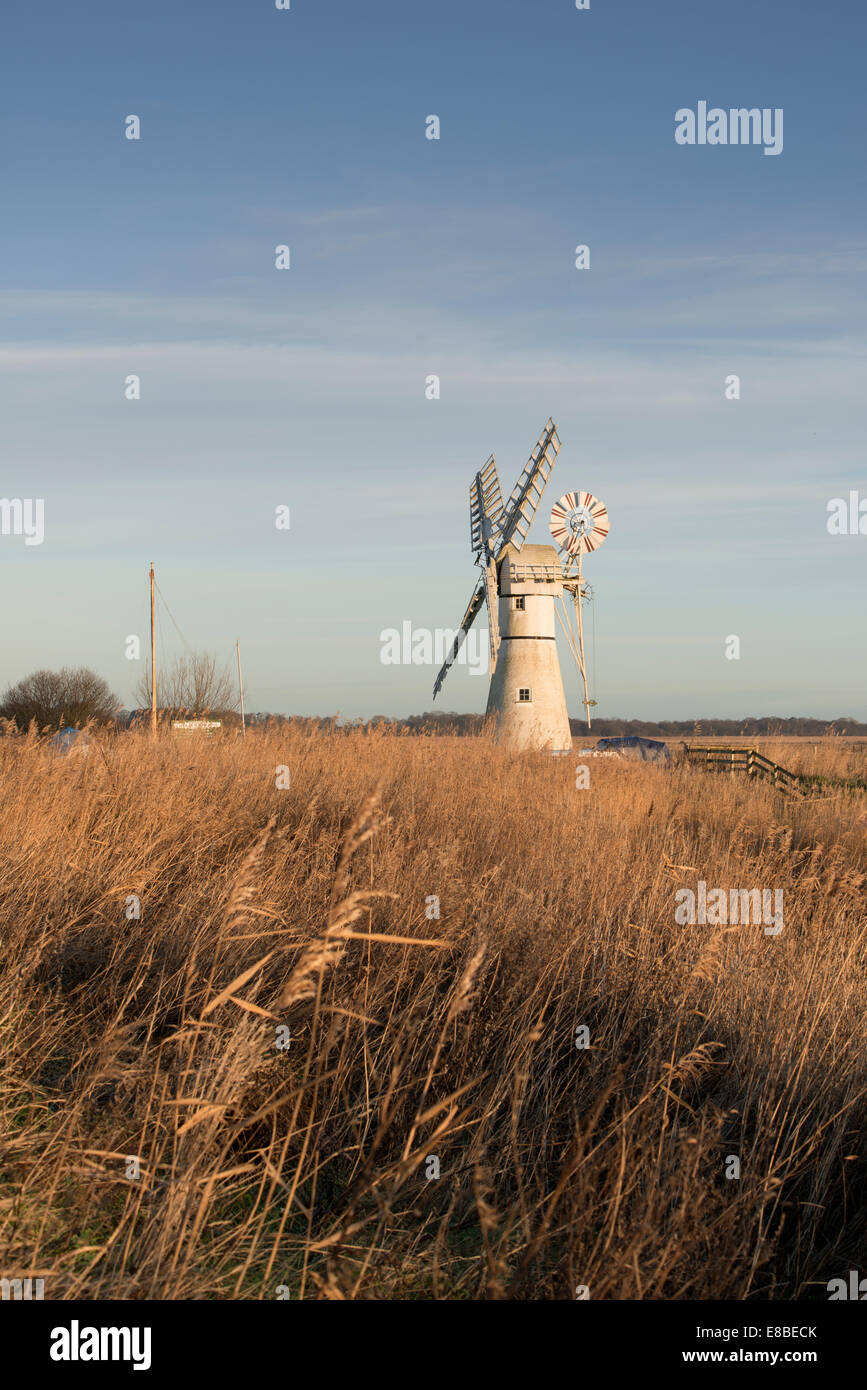 A view of Thurne Mill in the Norfolk Broads Stock Photo - Alamy