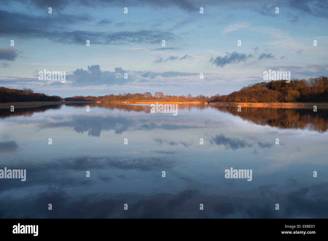 A view of Ormesby Broad in the Norfolk Broads Stock Photo - Alamy