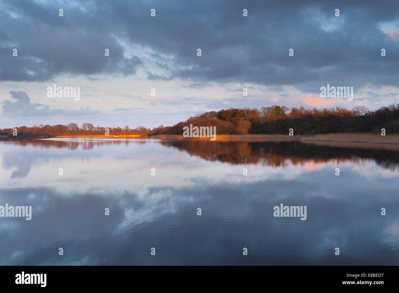 Rollesby hi-res stock photography and images - Alamy